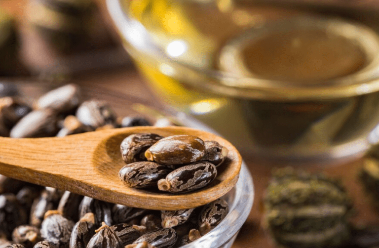 Castor Oil Plant Seeds: Benefits, Uses, and Growing Tips