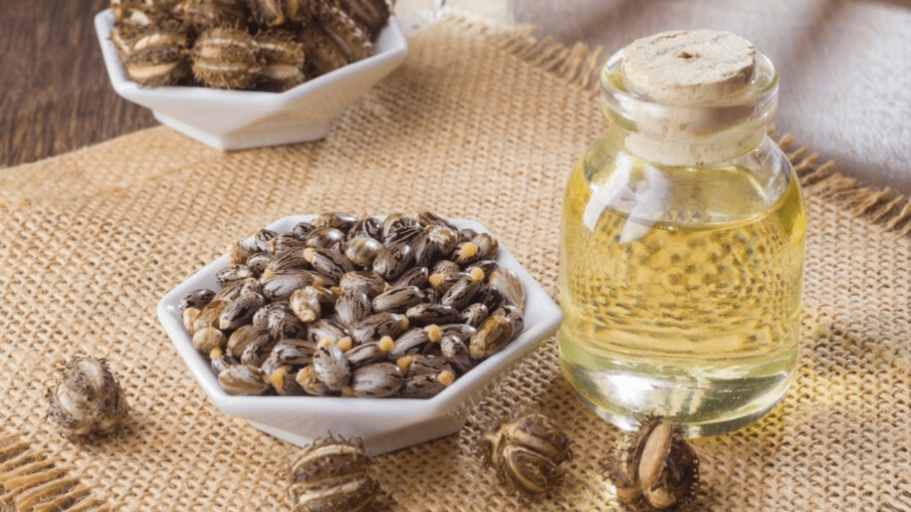 Castor Oil Plant Seeds: Benefits, Uses, and Growing Tips
