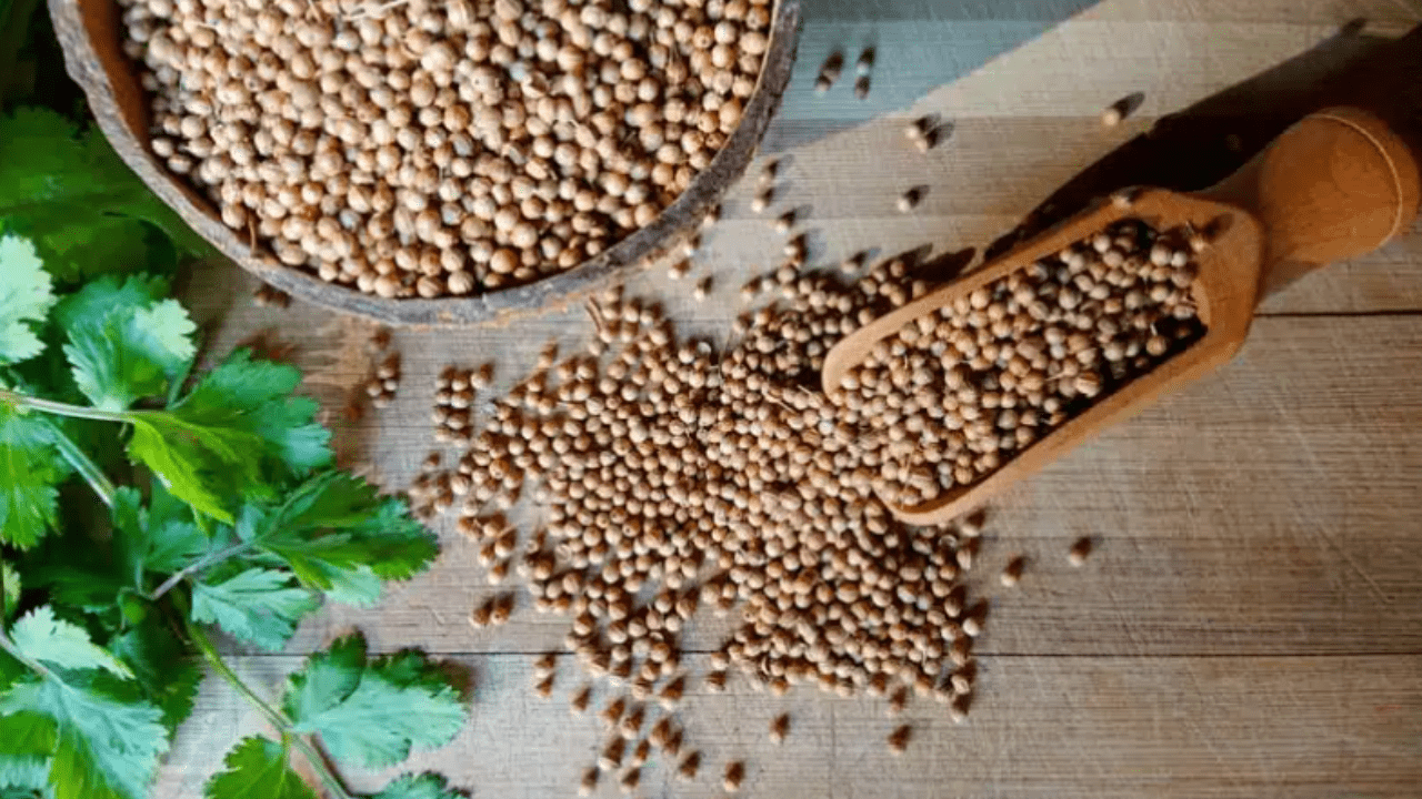 Celery Seeds for Planting: Expert Tips for Growing Celery