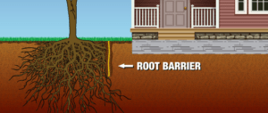 Root Barrier for Trees - Effective Root Control Solutions