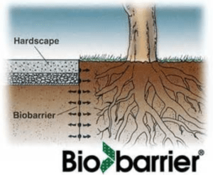 Root Barrier for Trees - Effective Root Control Solutions