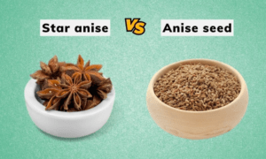 Growing Anise: A Complete Guide for Beginners