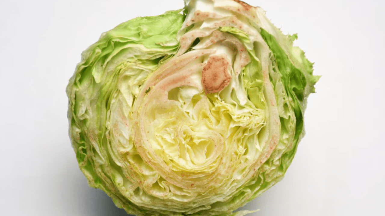 Lettuce Turning Pink? Causes and Solutions Explained