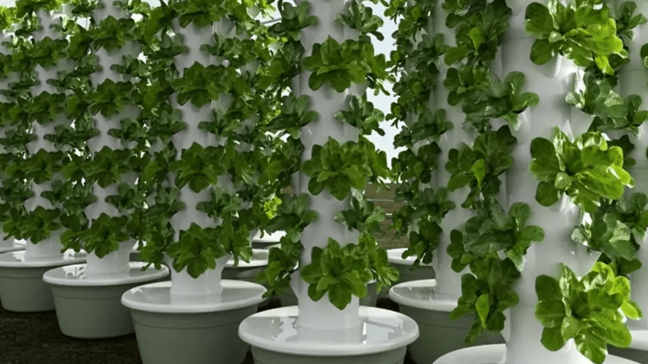 Planting Tower: Efficient Gardening for Small Spaces