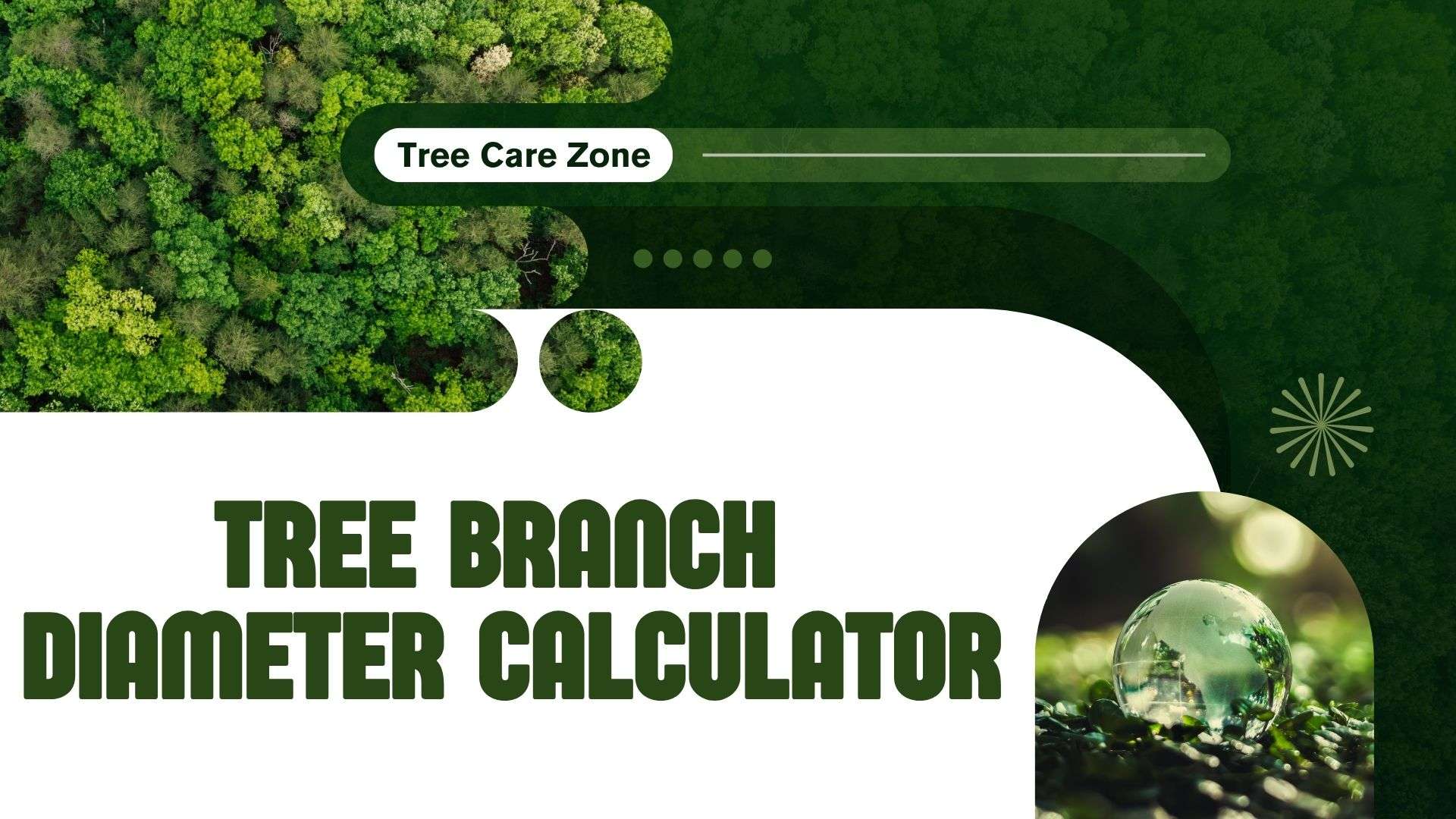 Tree Branch Diameter Calculator: Accurate Tool for Trees