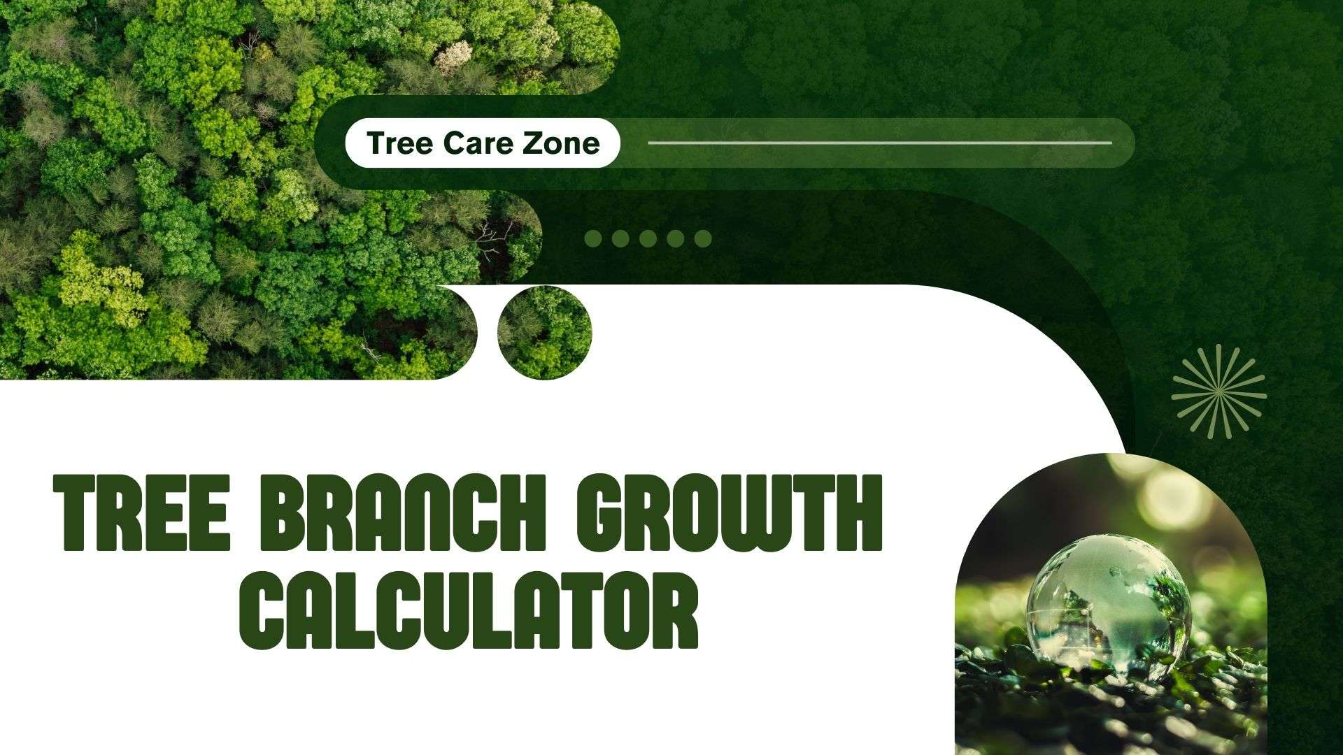 Tree Branch Growth Calculator: Estimate Growth Now
