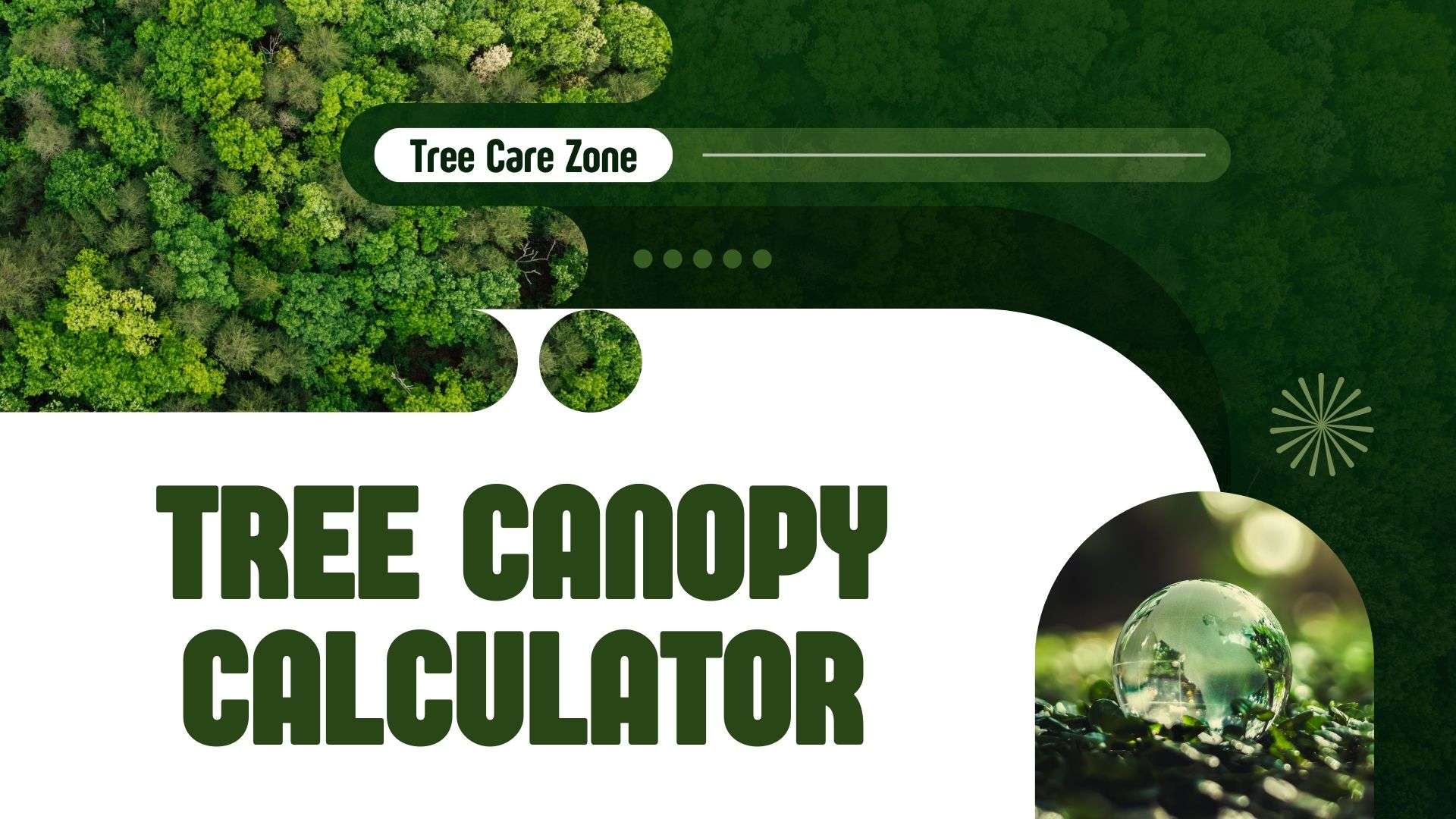 Tree Canopy Calculator: Estimate Canopy Coverage