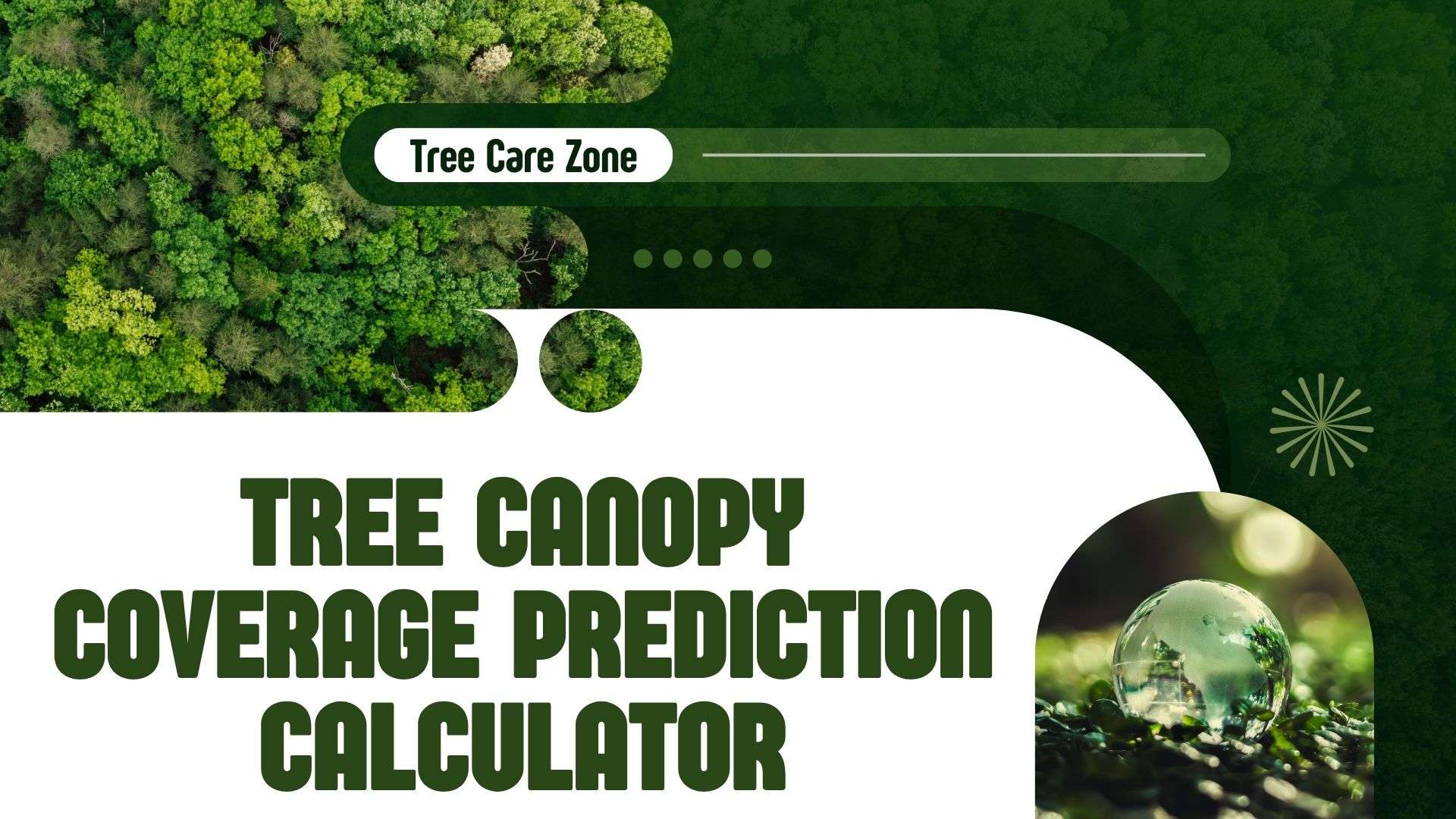 Tree Canopy Coverage Prediction Calculator Tool