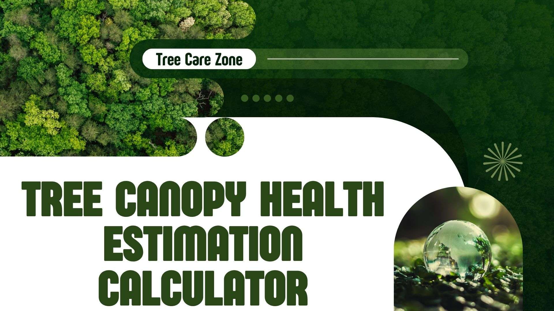 Tree Canopy Health Estimation Calculator Tool