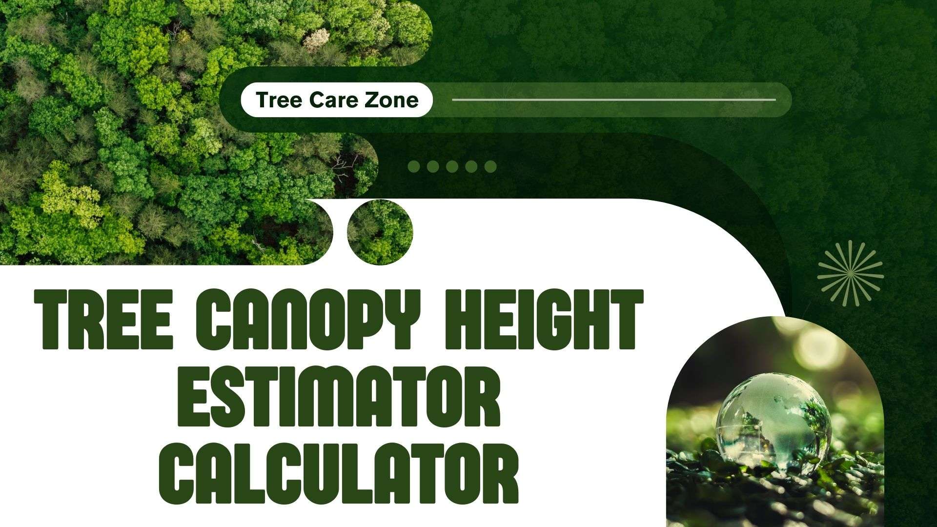 Tree Canopy Height Estimator Calculator for Tree Care