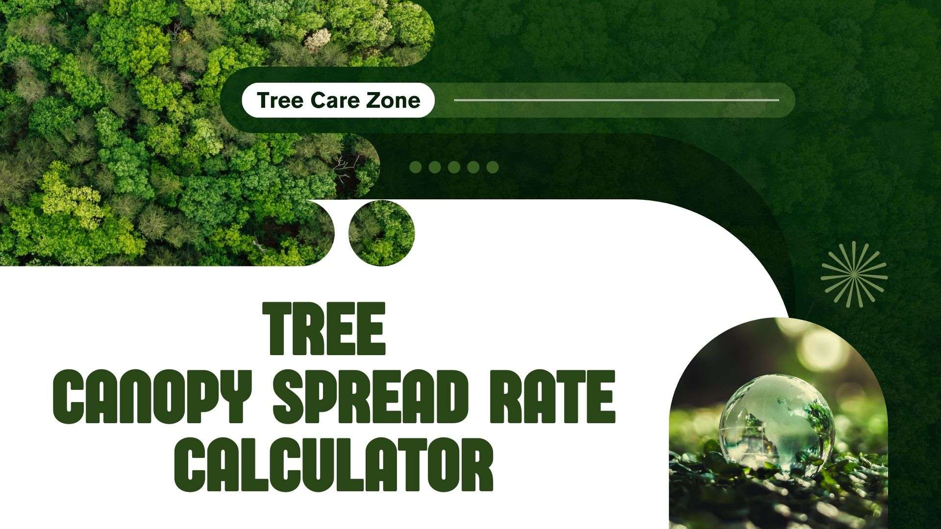 Tree Canopy Spread Rate Calculator for Tree Care