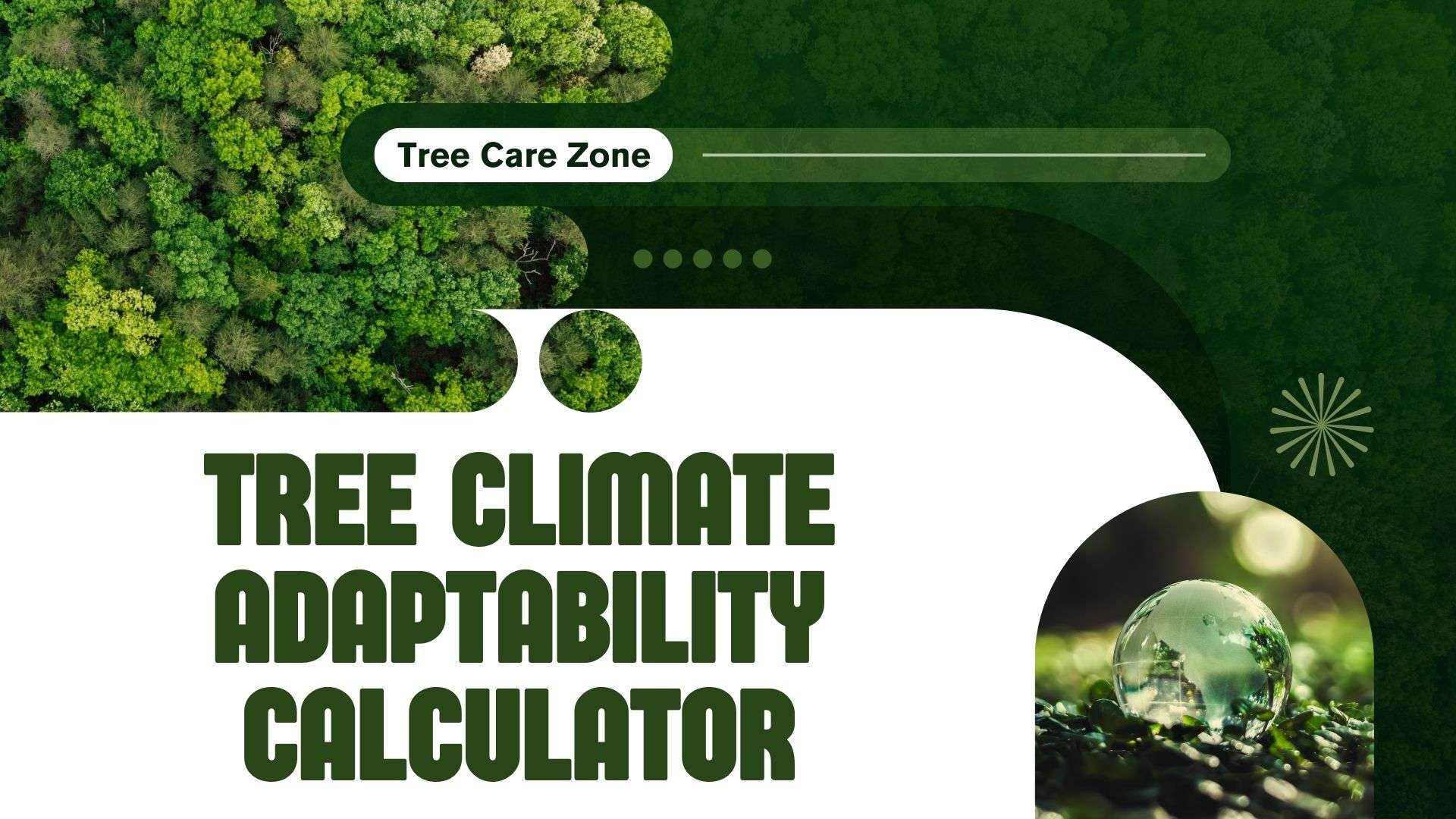 Tree Climate Adaptability Calculator for Planting Success