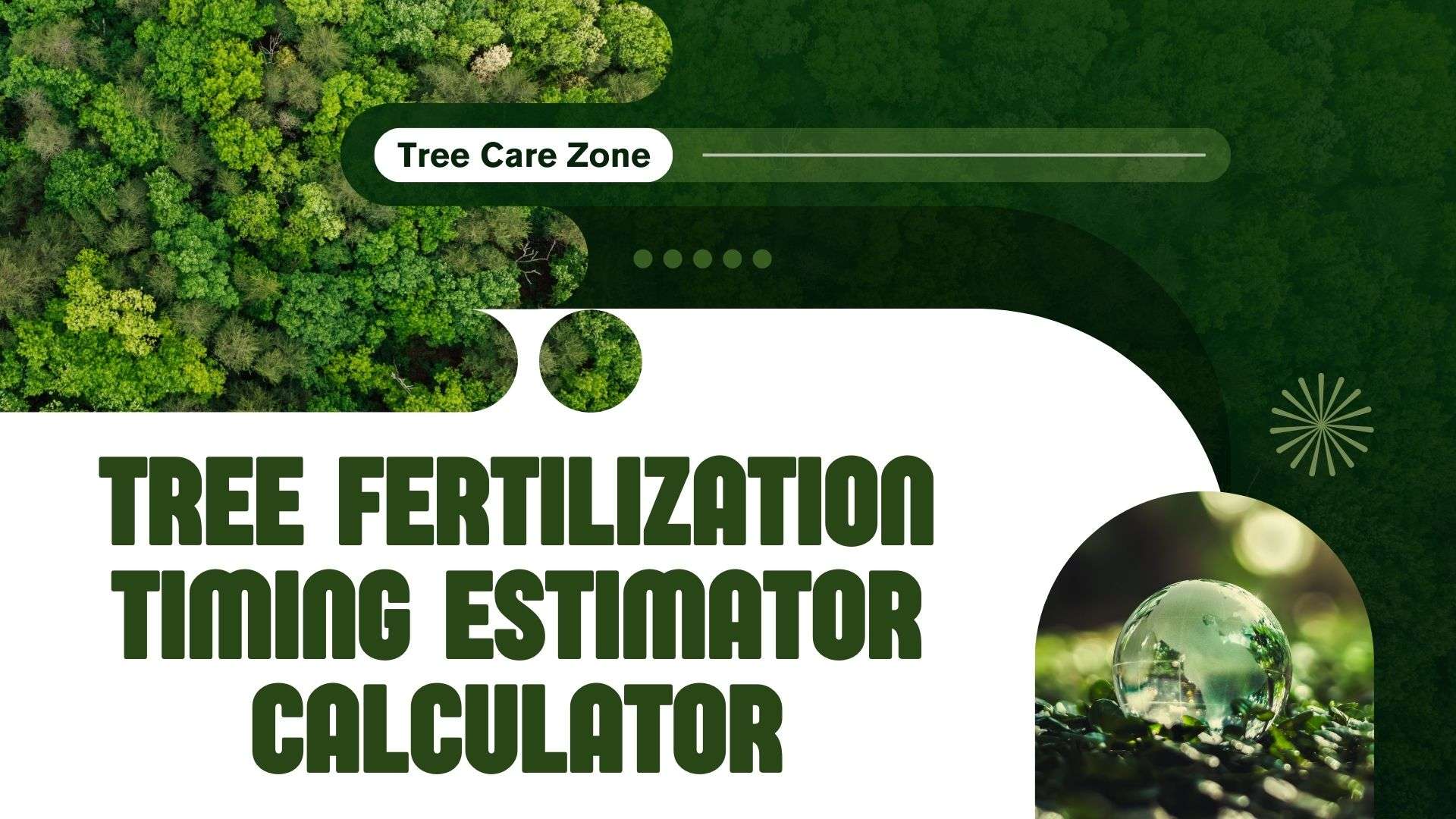 Tree Fertilization Timing Estimator Calculator Guide