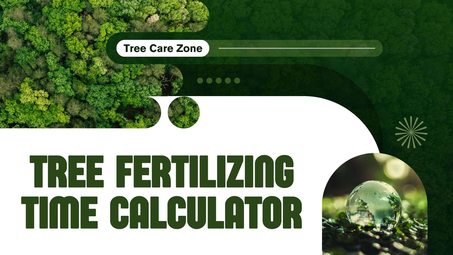 Tree Fertilizing Time Calculator for Healthy Trees