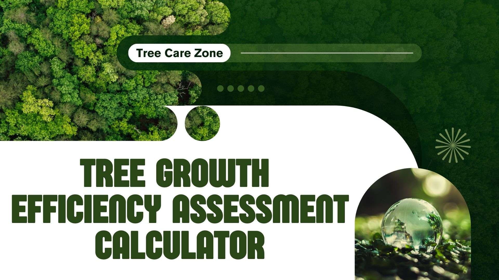 Tree Growth Efficiency Assessment Calculator for Trees