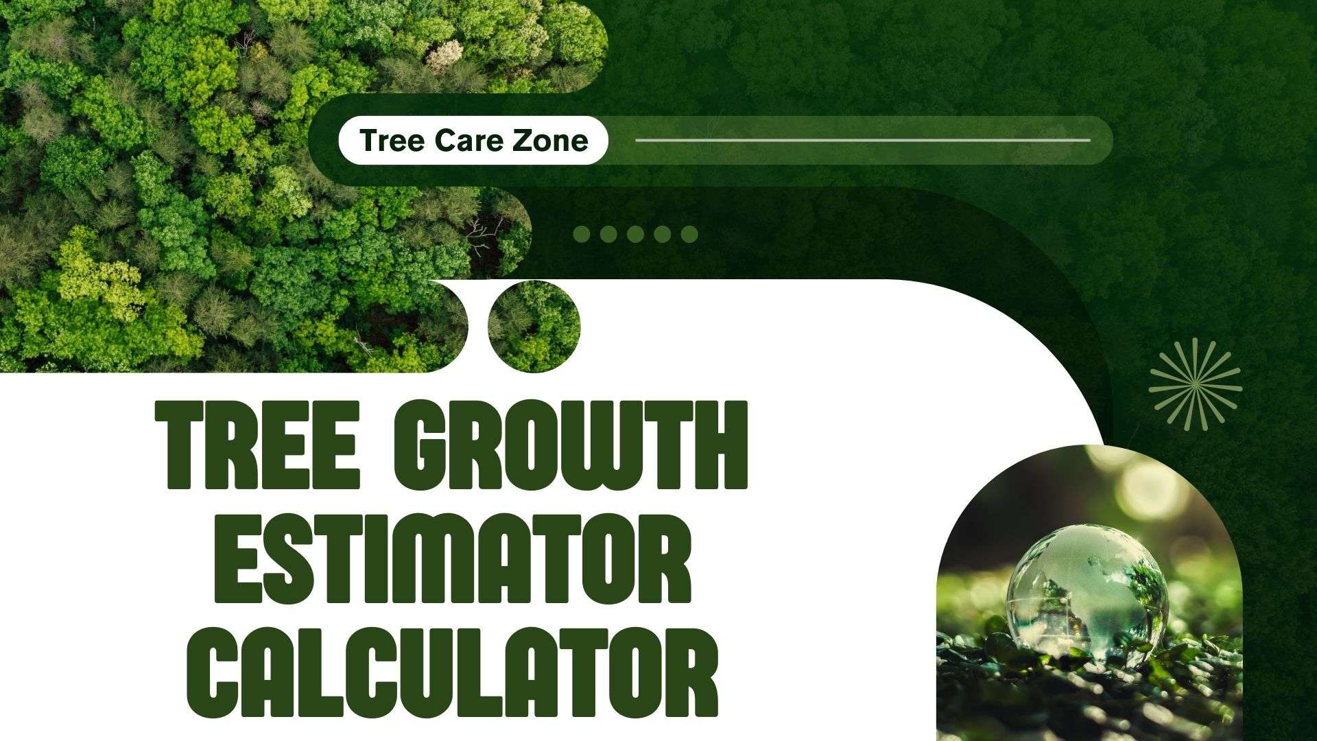 Tree Growth Estimator Calculator for Tree Care