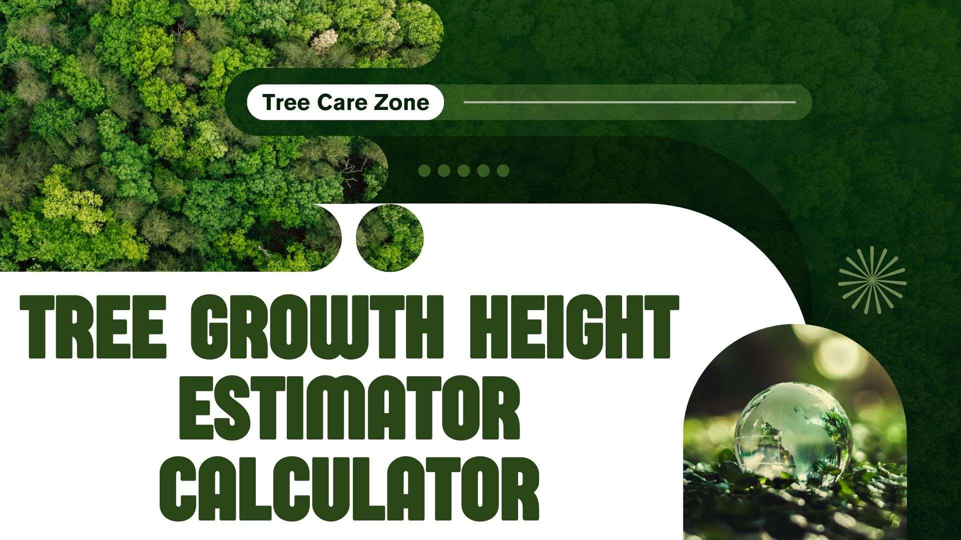 Tree Growth Height Estimator Calculator: Predict Growth
