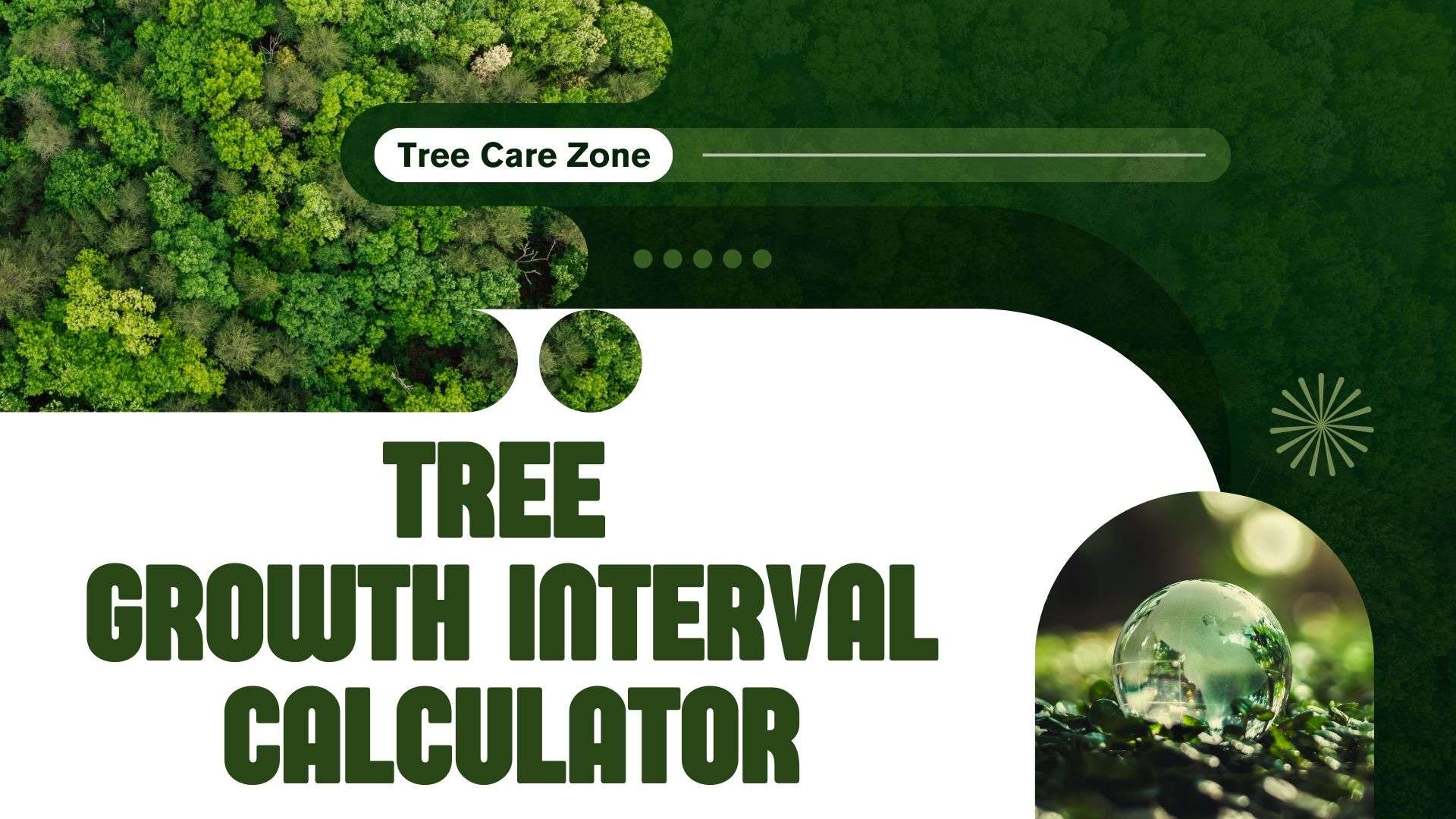 Tree Growth Interval Calculator: Plan Tree Growth Now