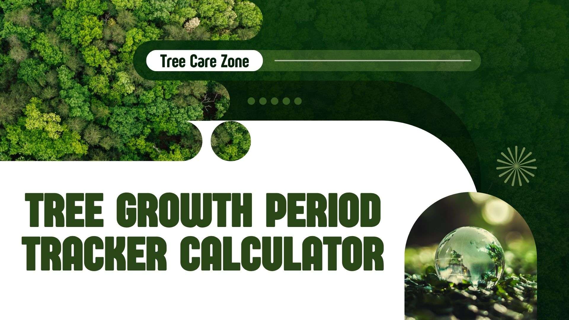 Tree Growth Period Tracker Calculator Guide
