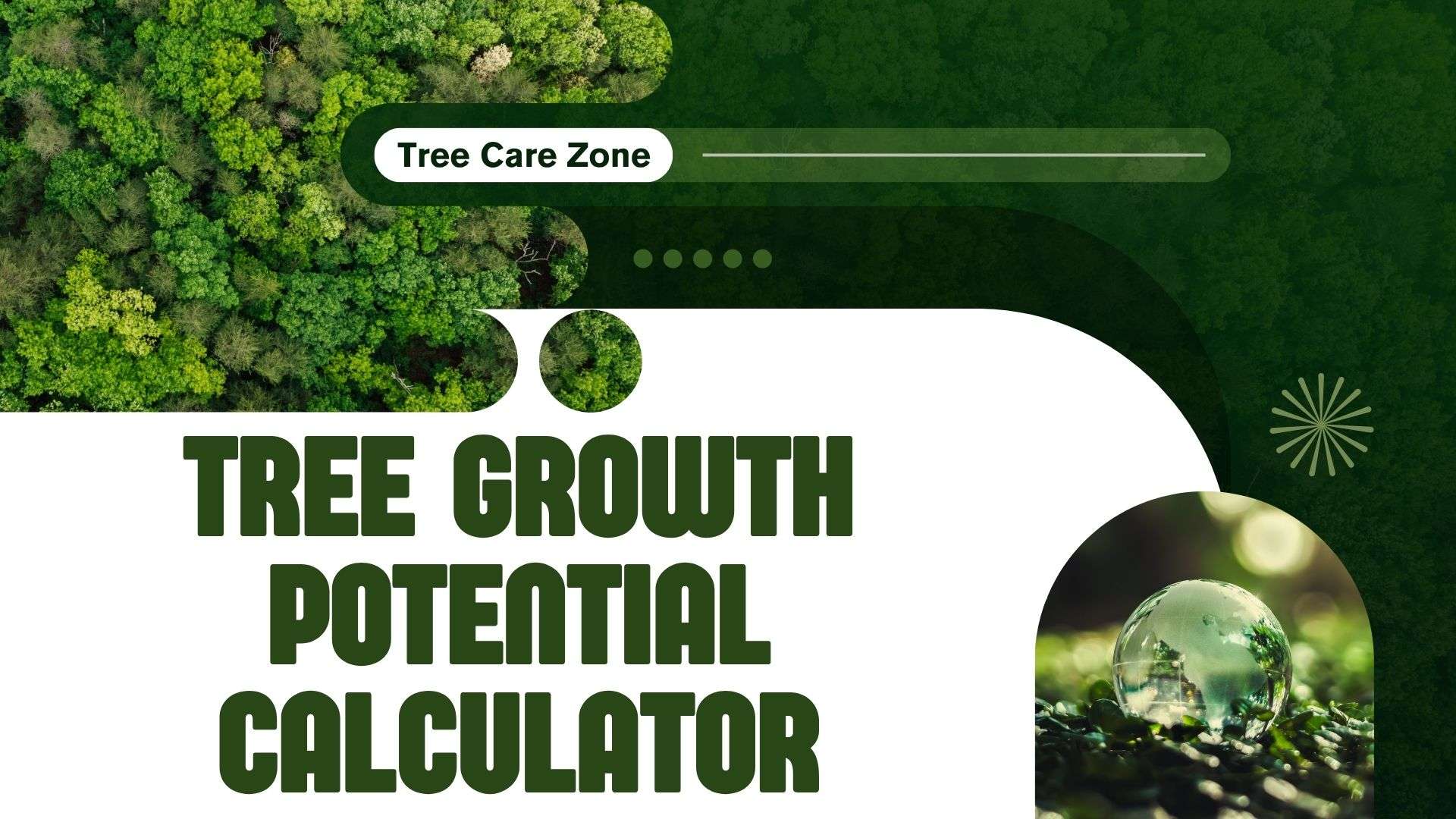 Tree Growth Potential Calculator: Estimate Tree Growth Now