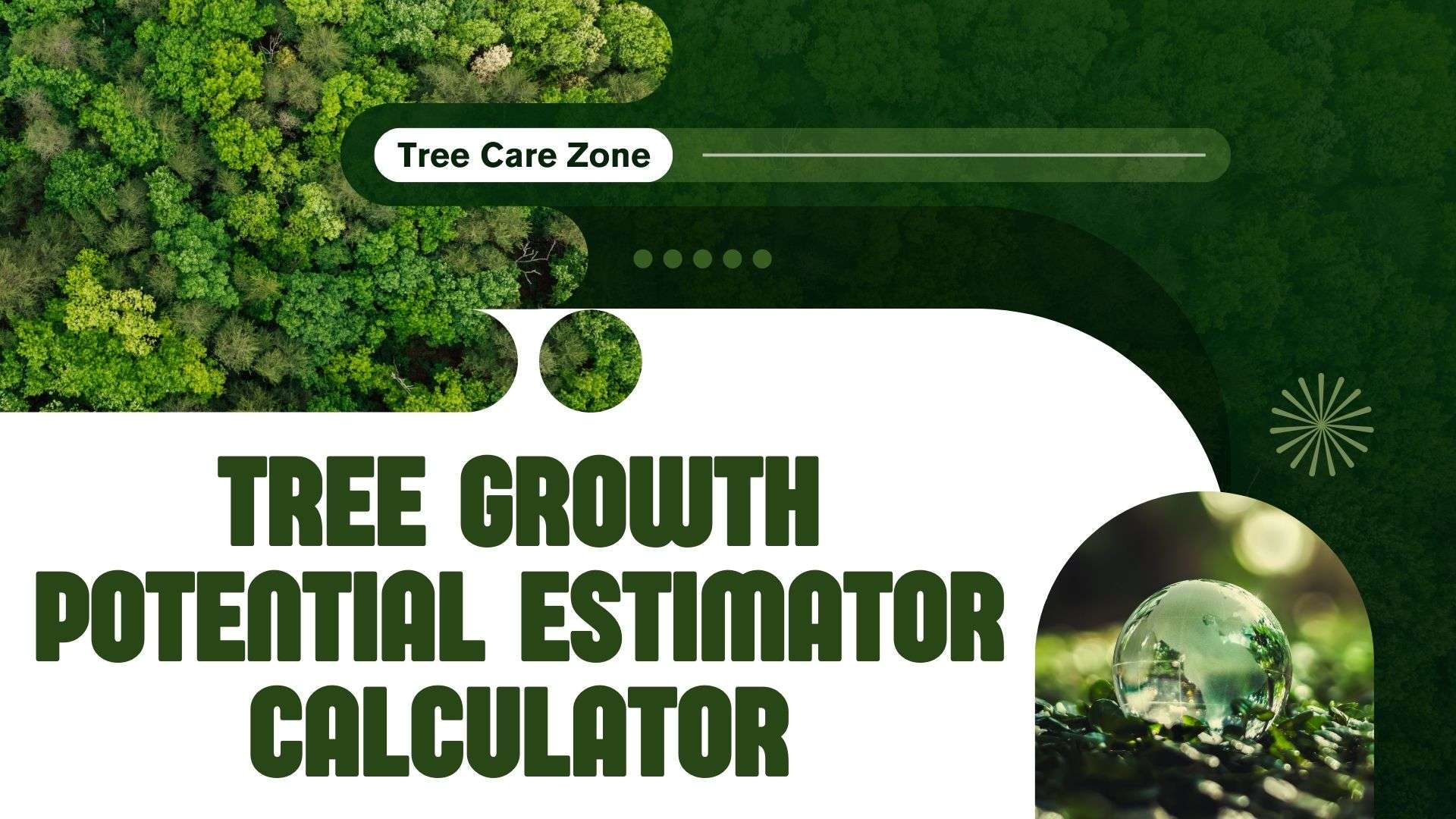 Tree Growth Potential Estimator Calculator for Trees