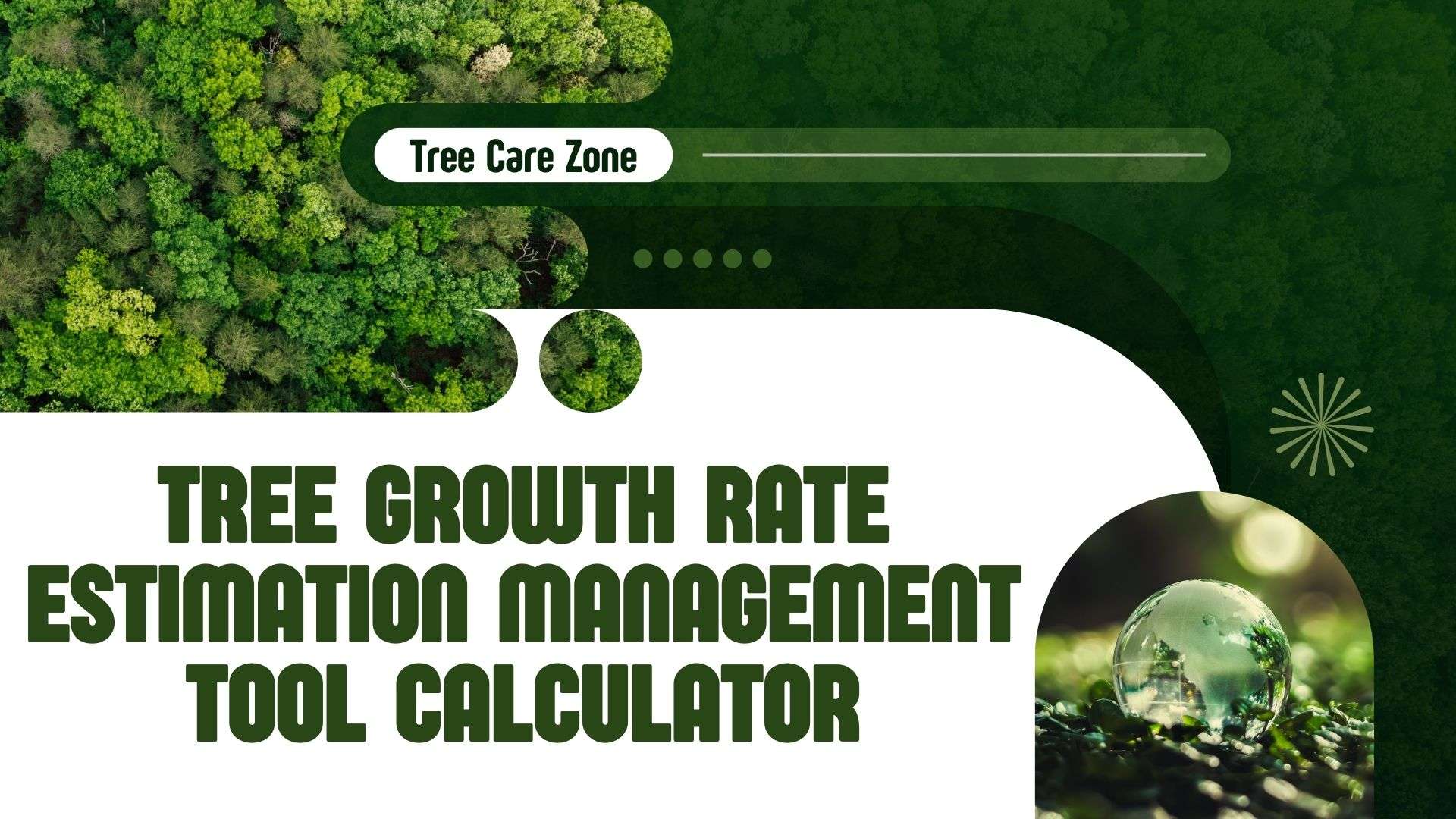 Tree Growth Rate Estimation Management Tool Calculator Guide