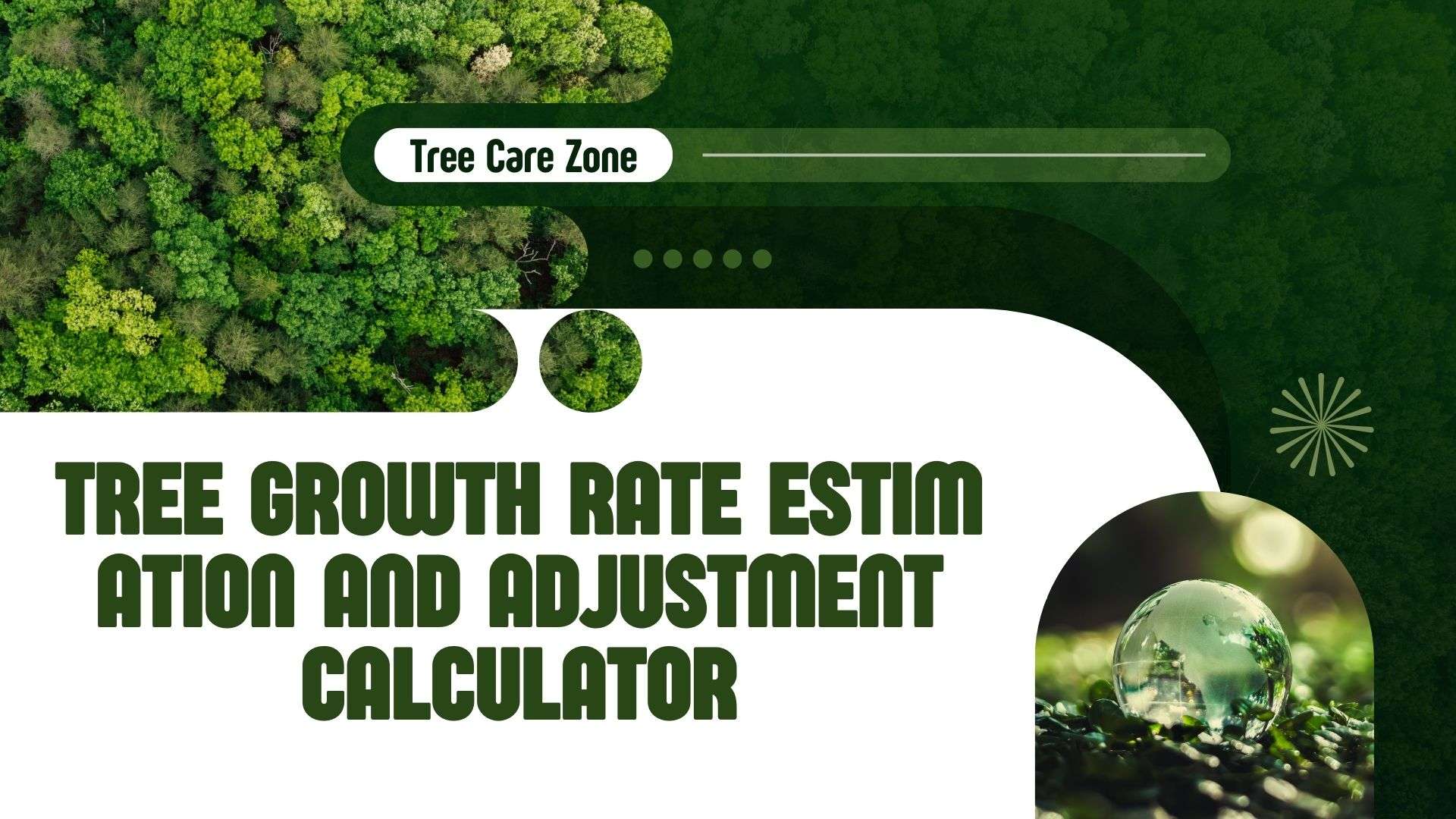 Tree Growth Rate Estimation And Adjustment Calculator Guide