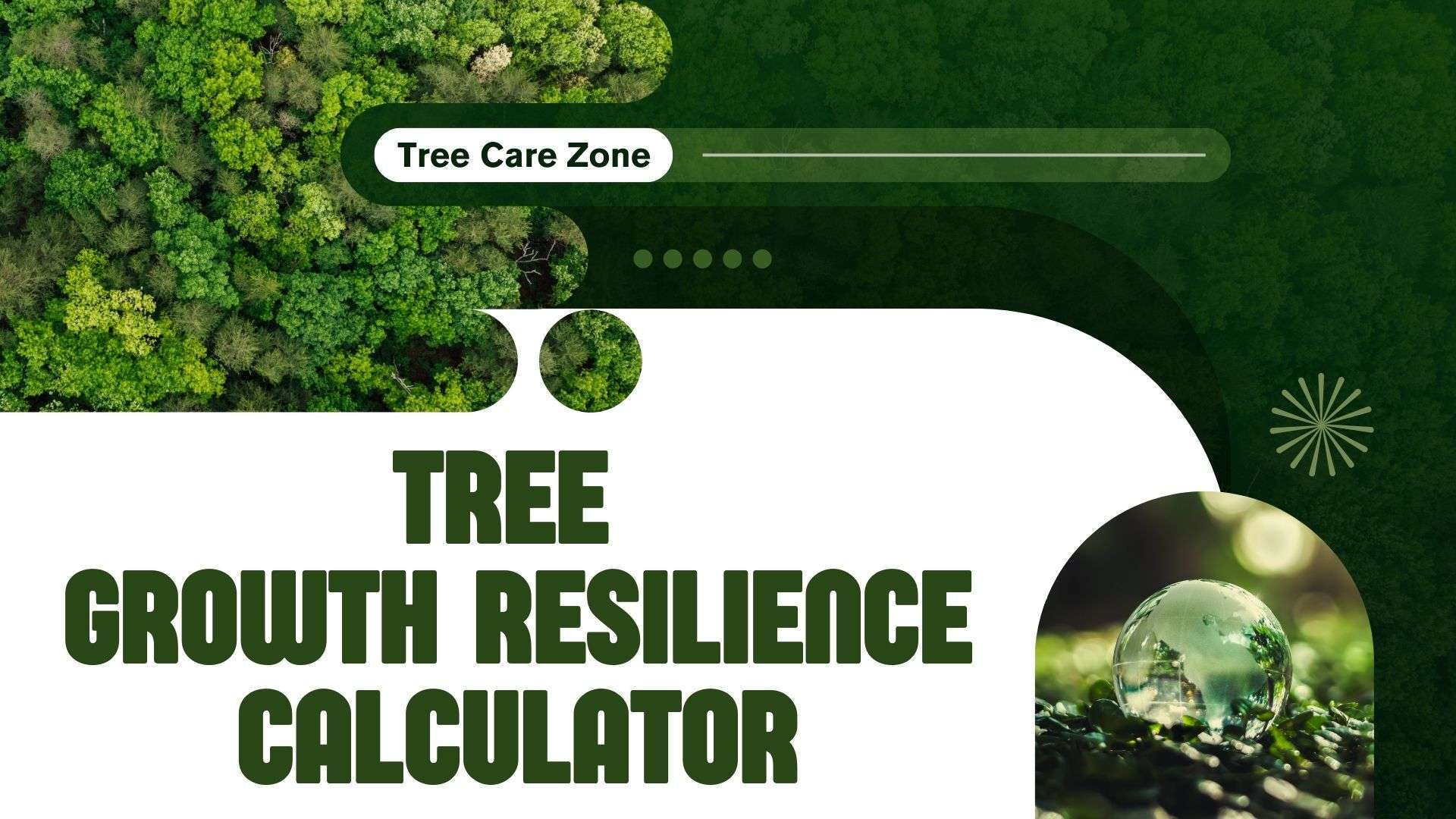 Tree Growth Resilience Calculator Guide