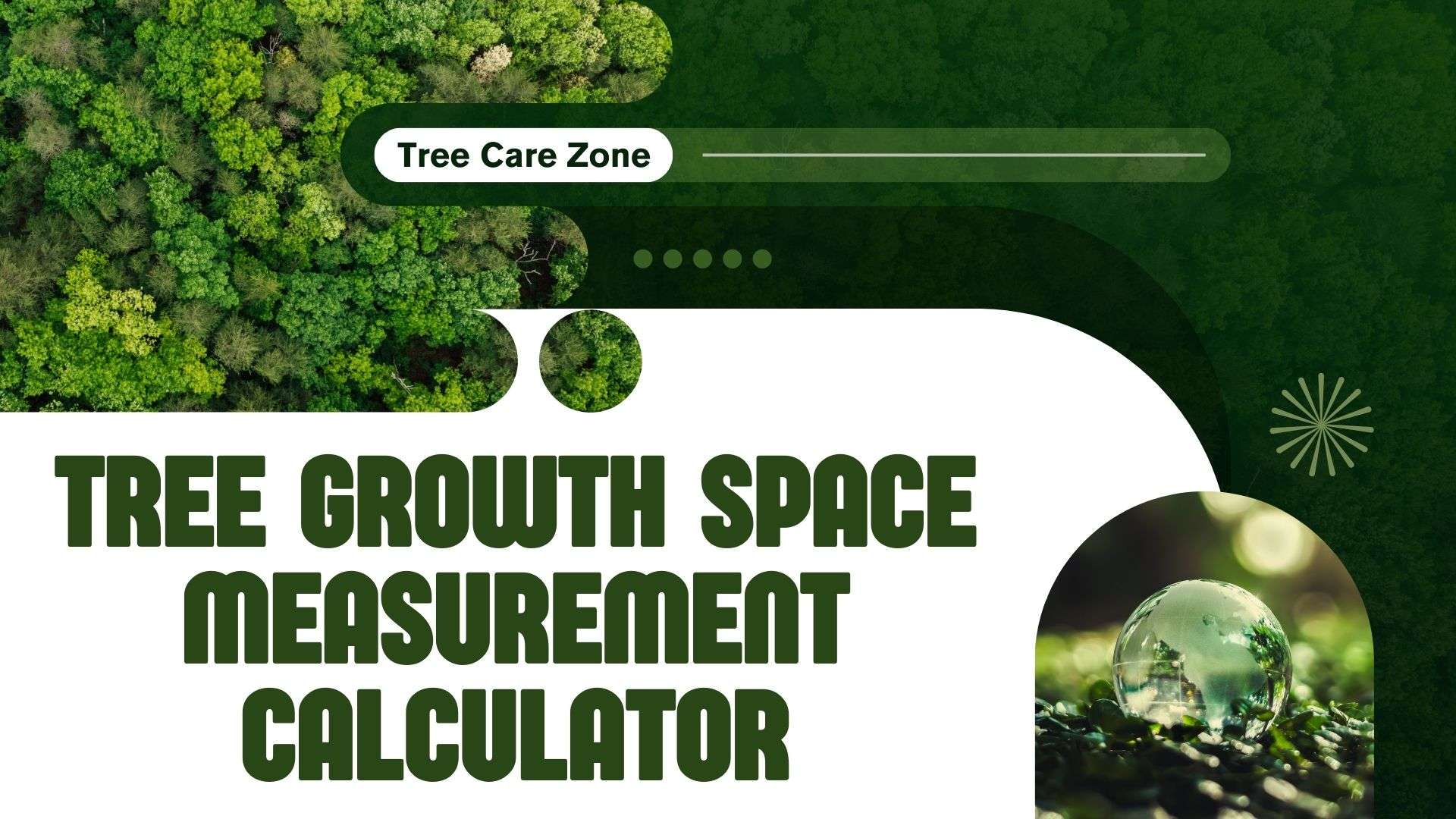 Tree Growth Space Measurement Calculator for Trees