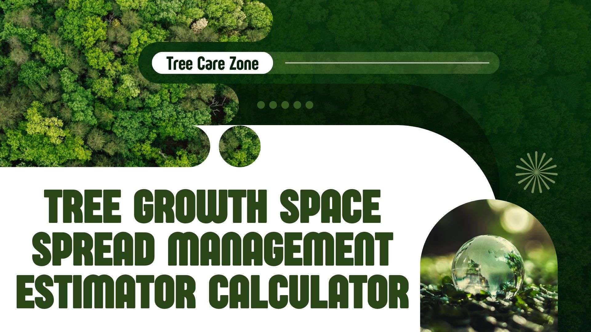 Tree Growth Space Spread Management Estimator Calculator Tool