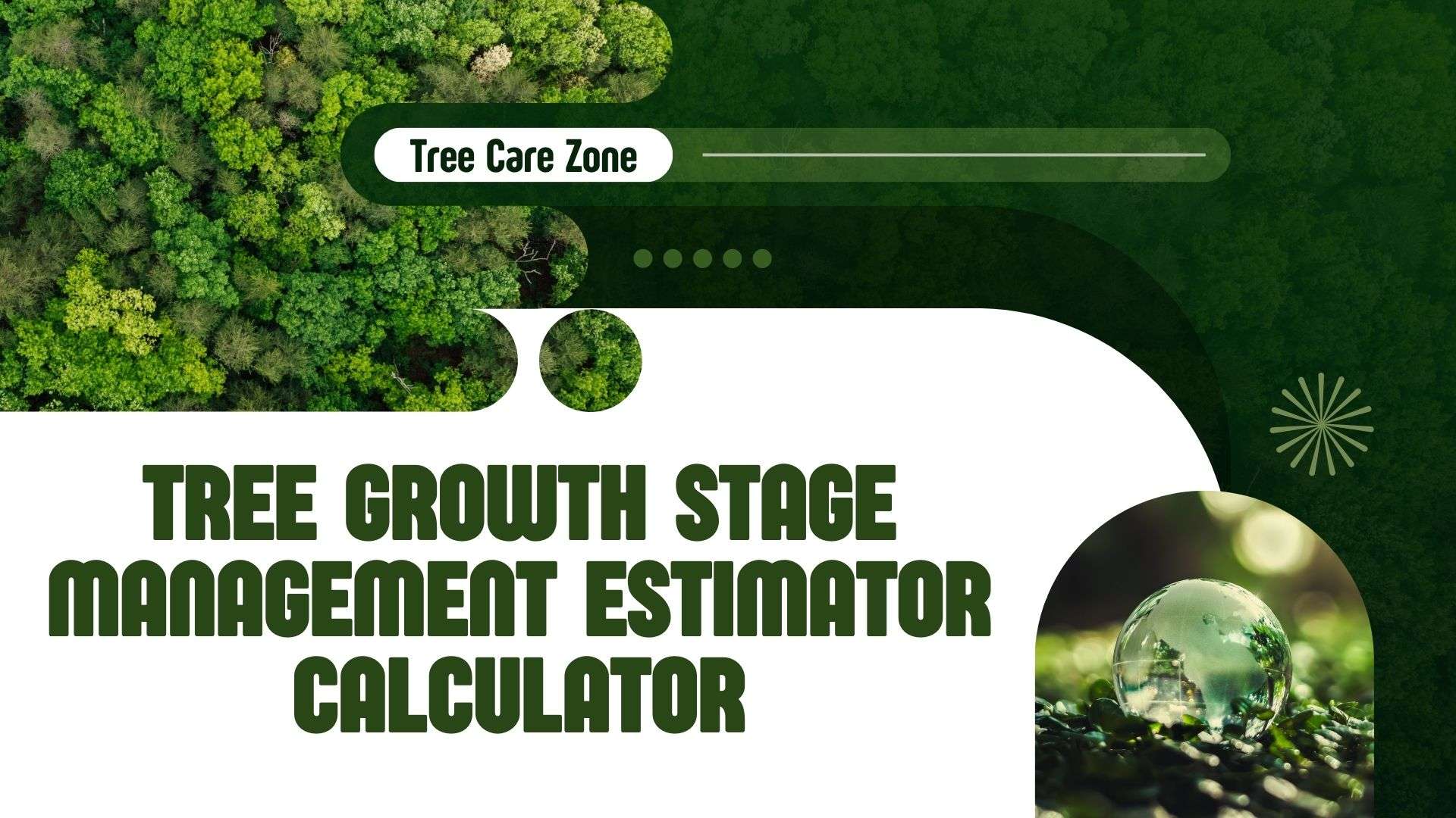 Tree Growth Stage Management Estimator Calculator Guide