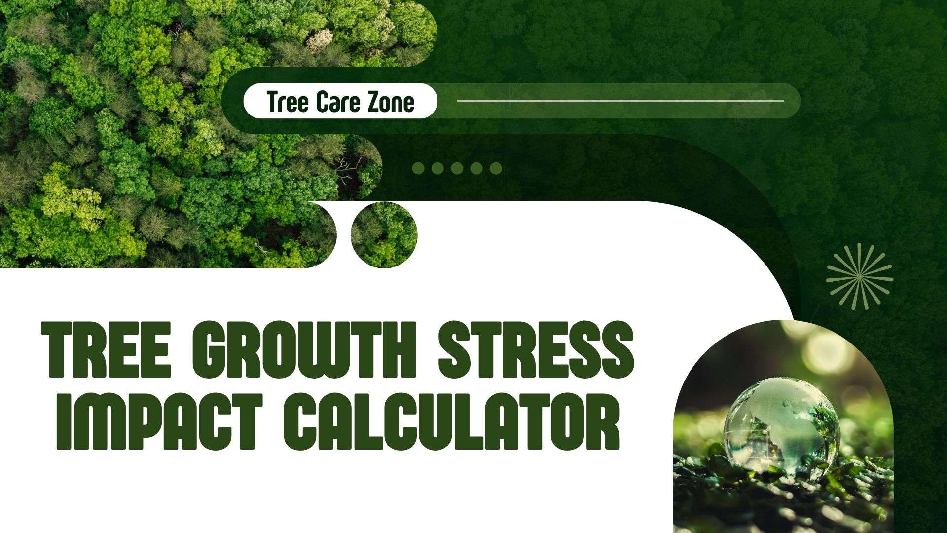 Tree Growth Stress Impact Calculator Guide