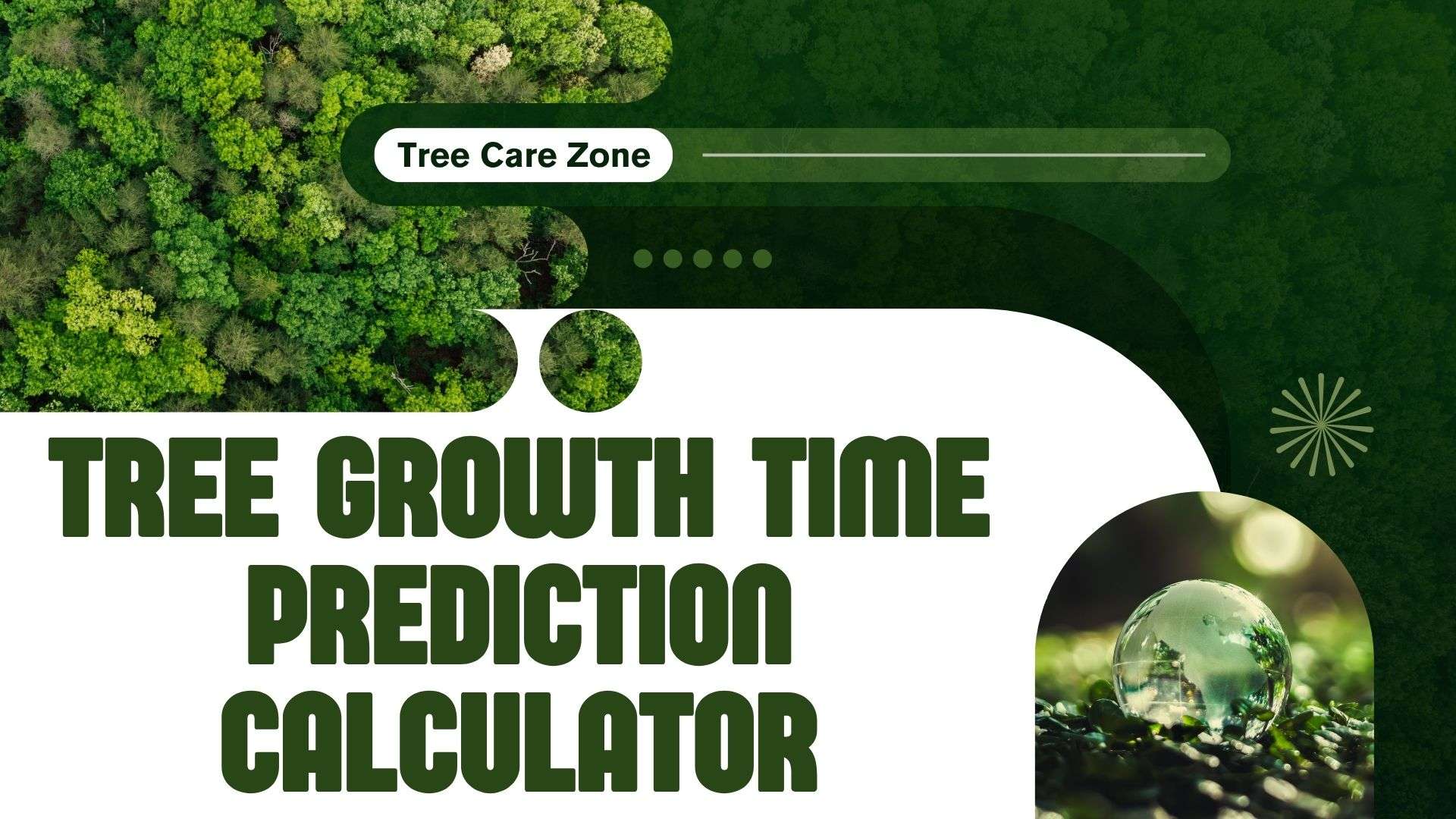 Tree Growth Time Prediction Calculator for Trees