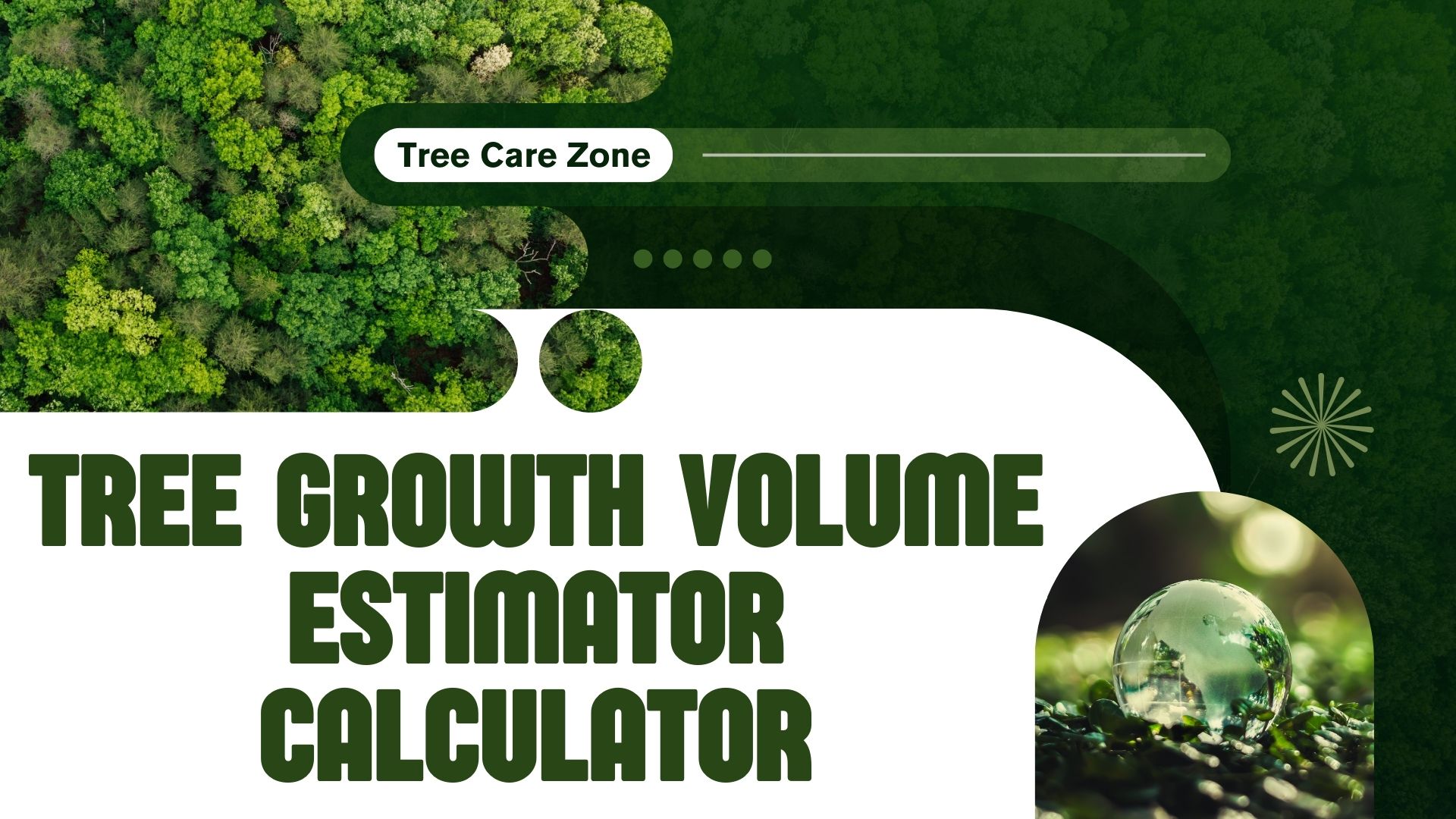 Tree Growth Volume Estimator Calculator for Trees