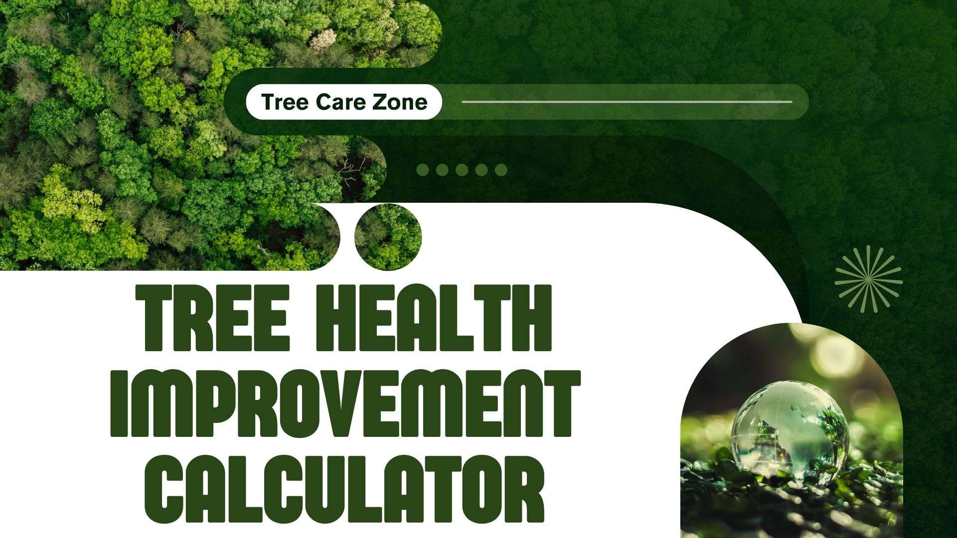 Tree Health Improvement Calculator for Trees