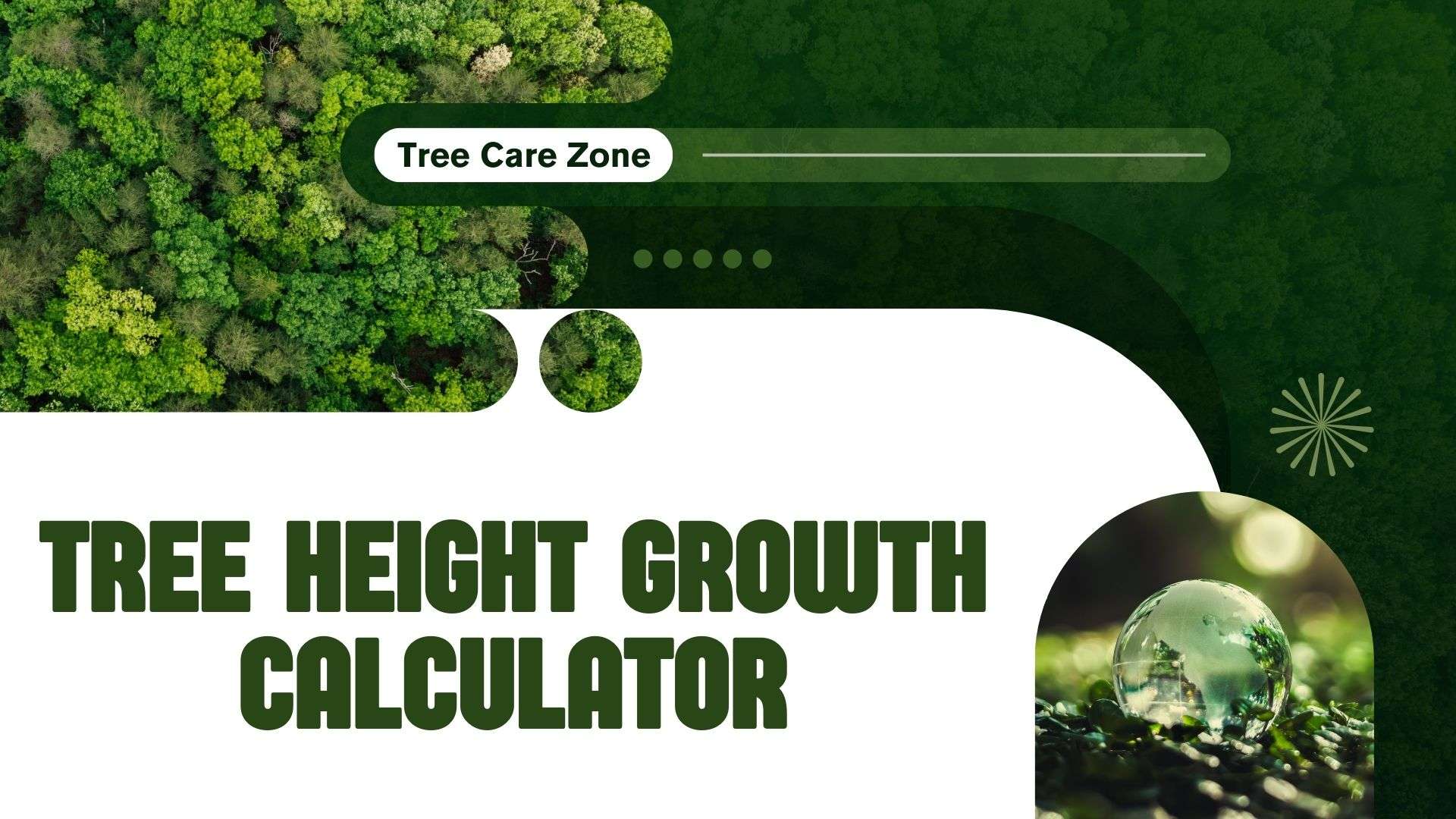 Tree Height Growth Calculator: Estimate Tree Growth Fast