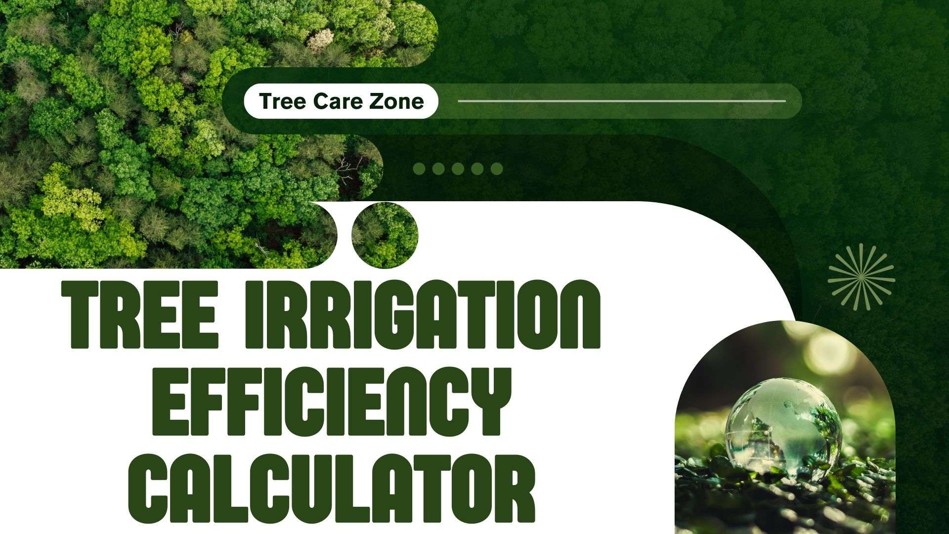 Tree Irrigation Efficiency Calculator: Optimize Water Use