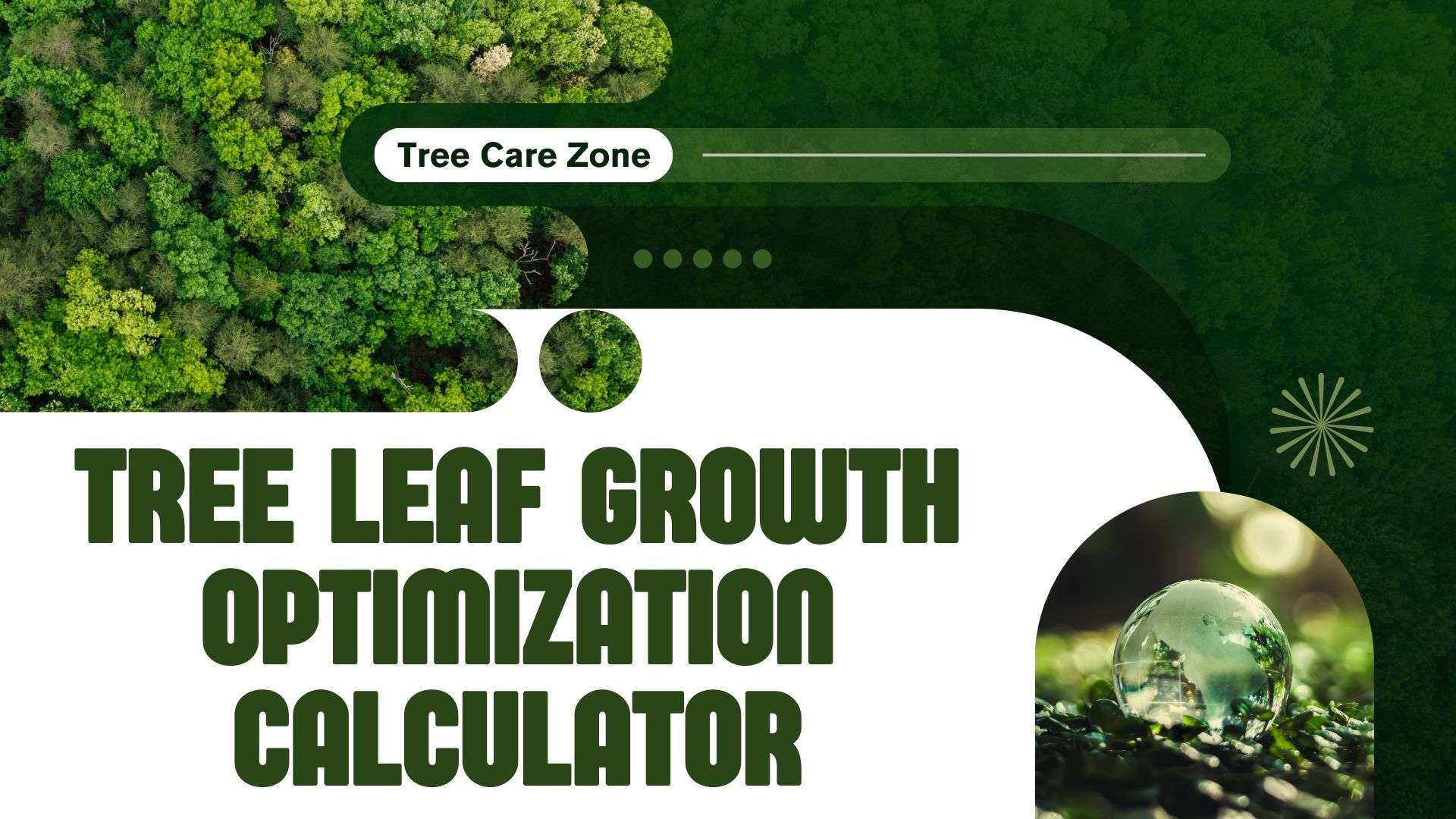 Tree Leaf Growth Optimization Calculator for Trees