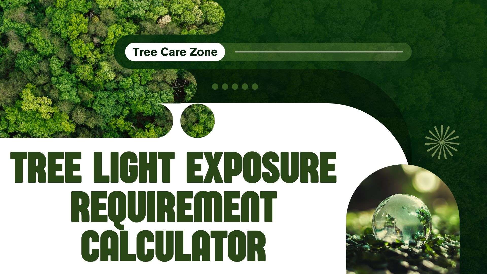 Tree Light Exposure Requirement Calculator Tool | Tree Care