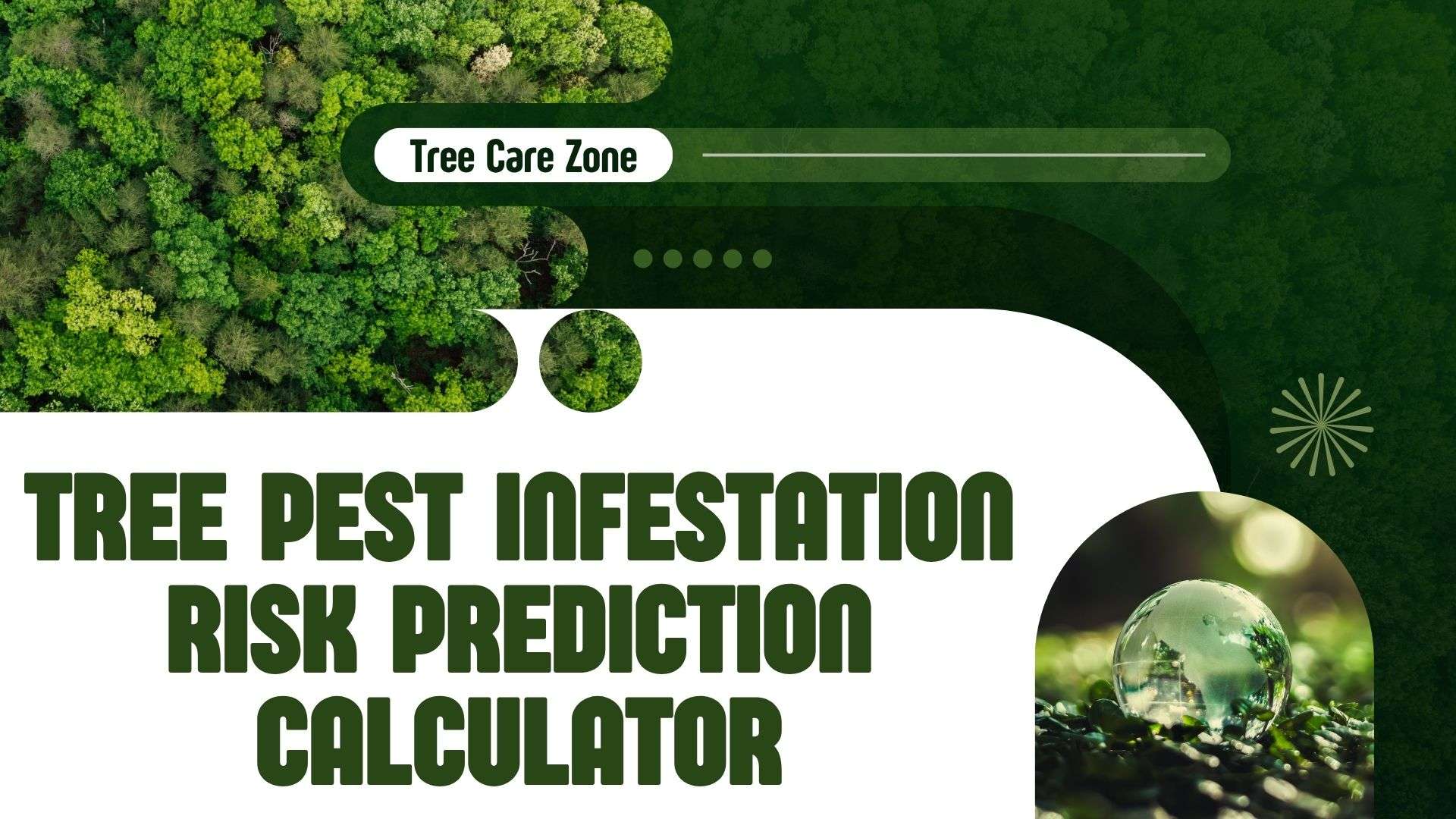 Tree Pest Infestation Risk Prediction Calculator for Trees