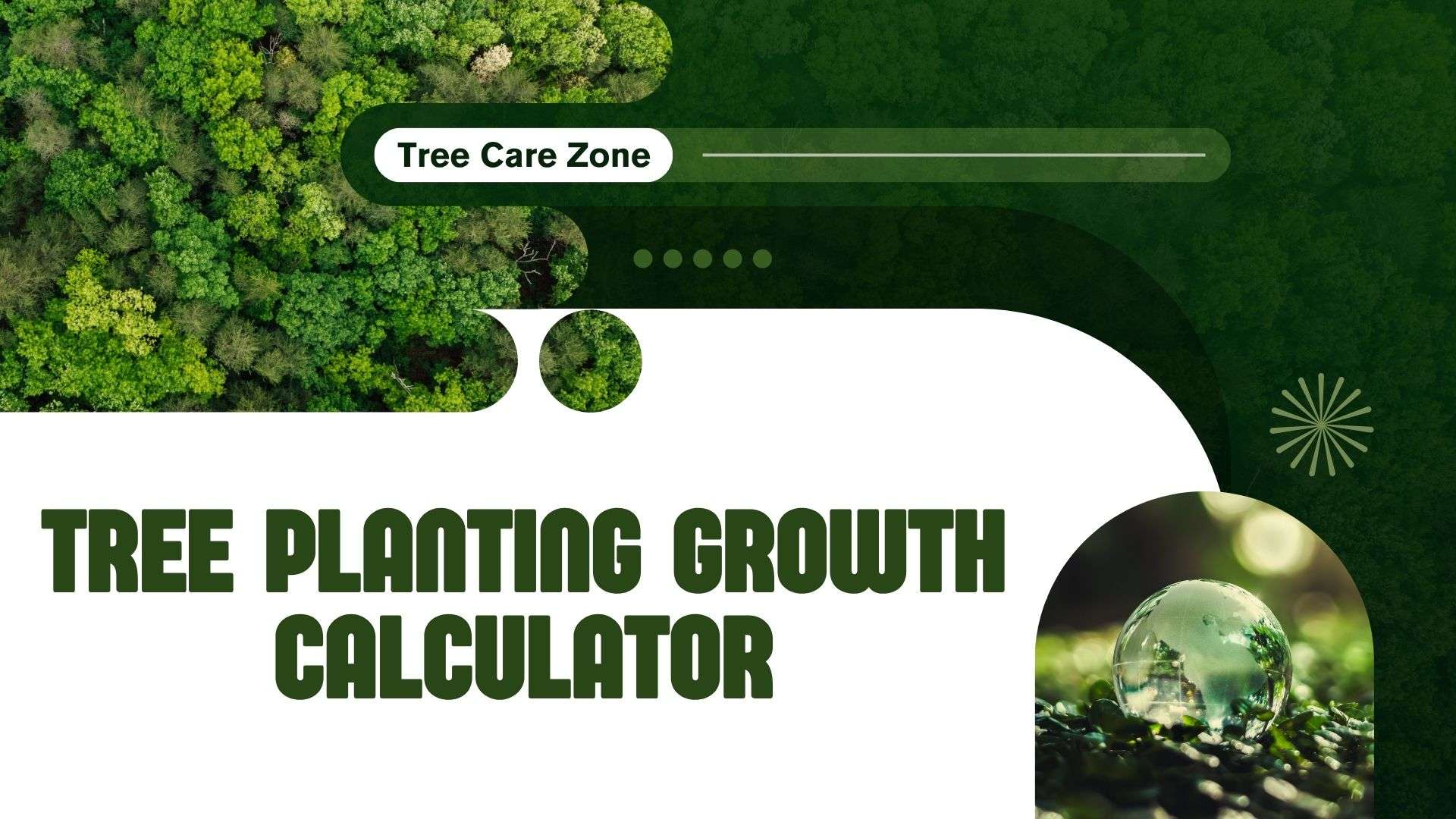Tree Planting Growth Calculator: Estimate Tree Growth