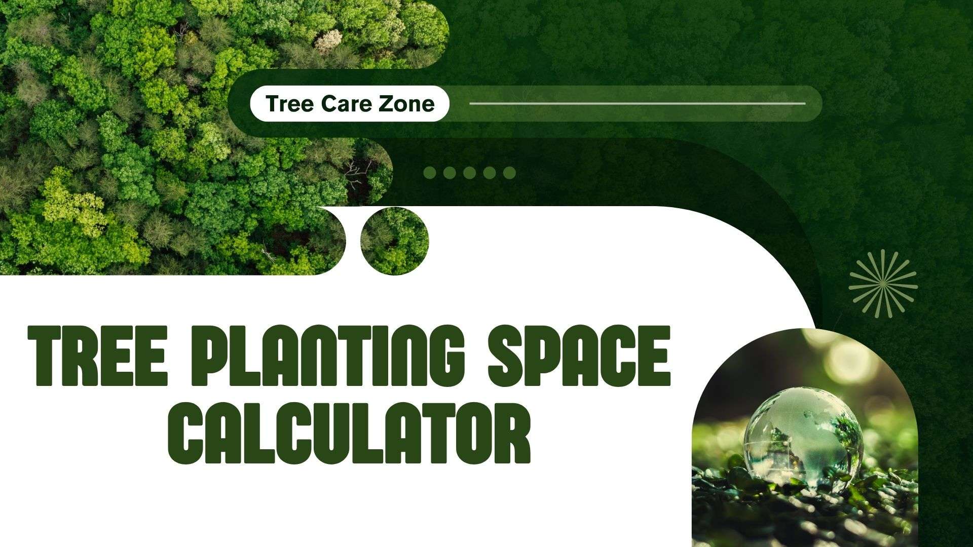 Tree Planting Space Calculator: Plan Your Trees Wisely