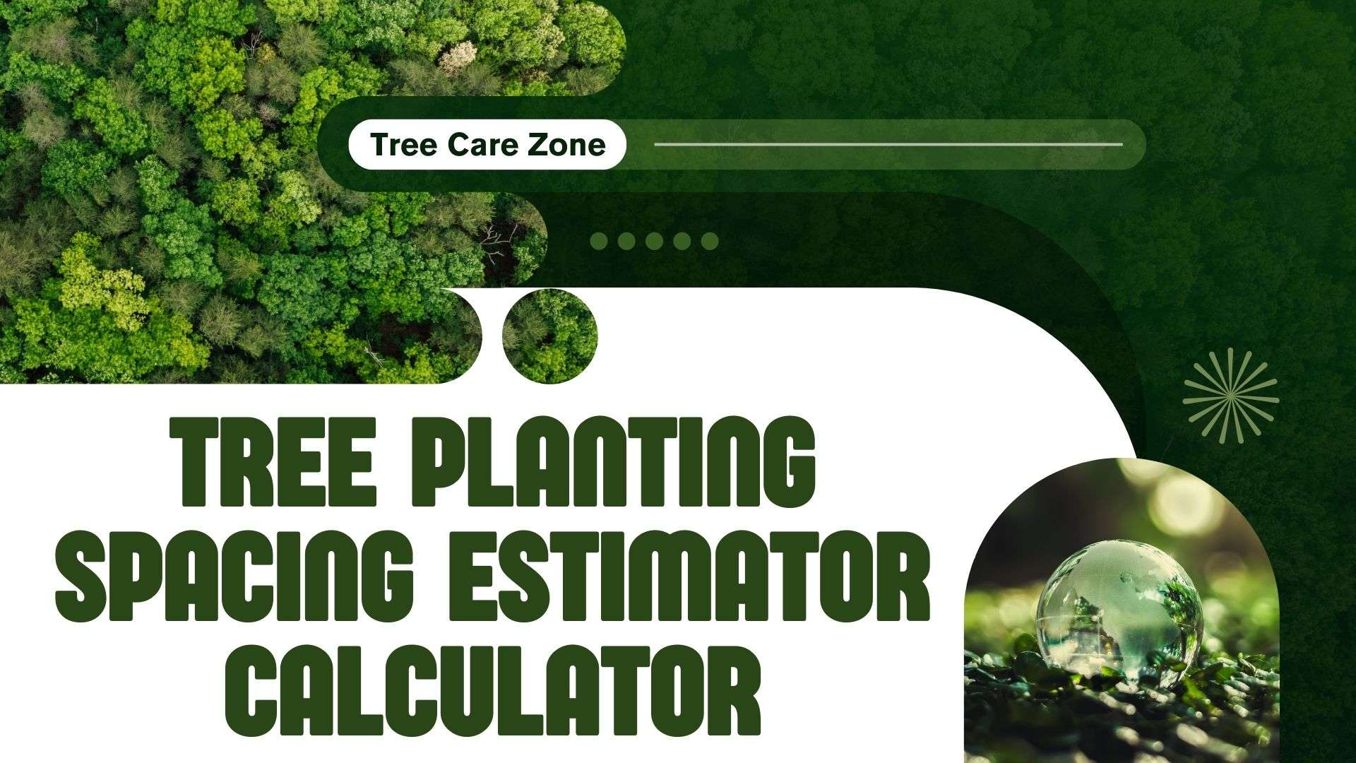 Tree Planting Spacing Estimator Calculator Guide