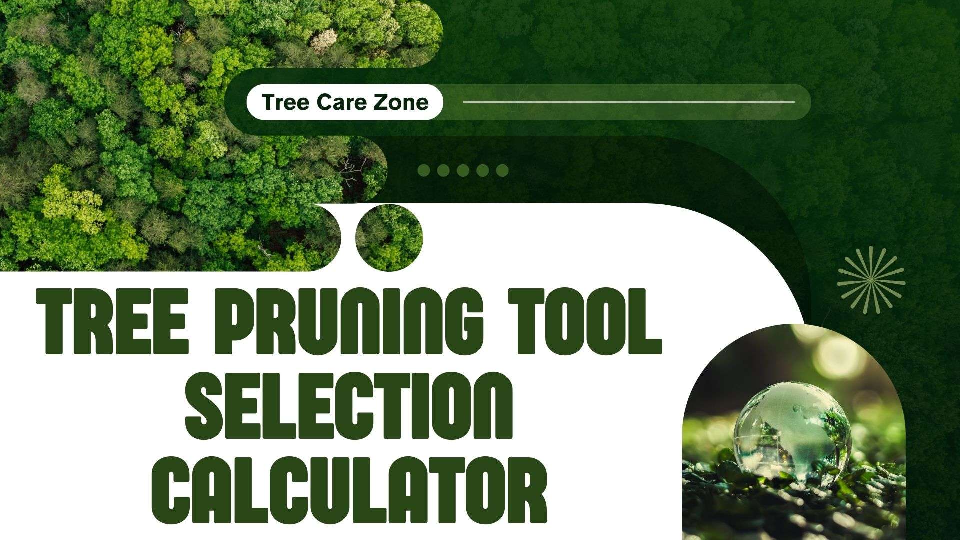Tree Pruning Tool Selection Calculator for Trees
