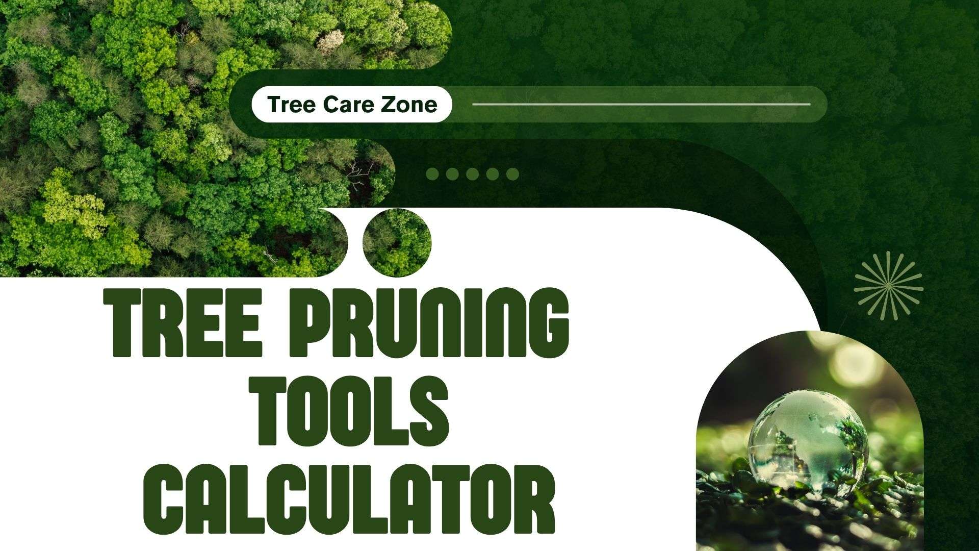 Tree Pruning Tools Calculator: Best Tools for Tree Care