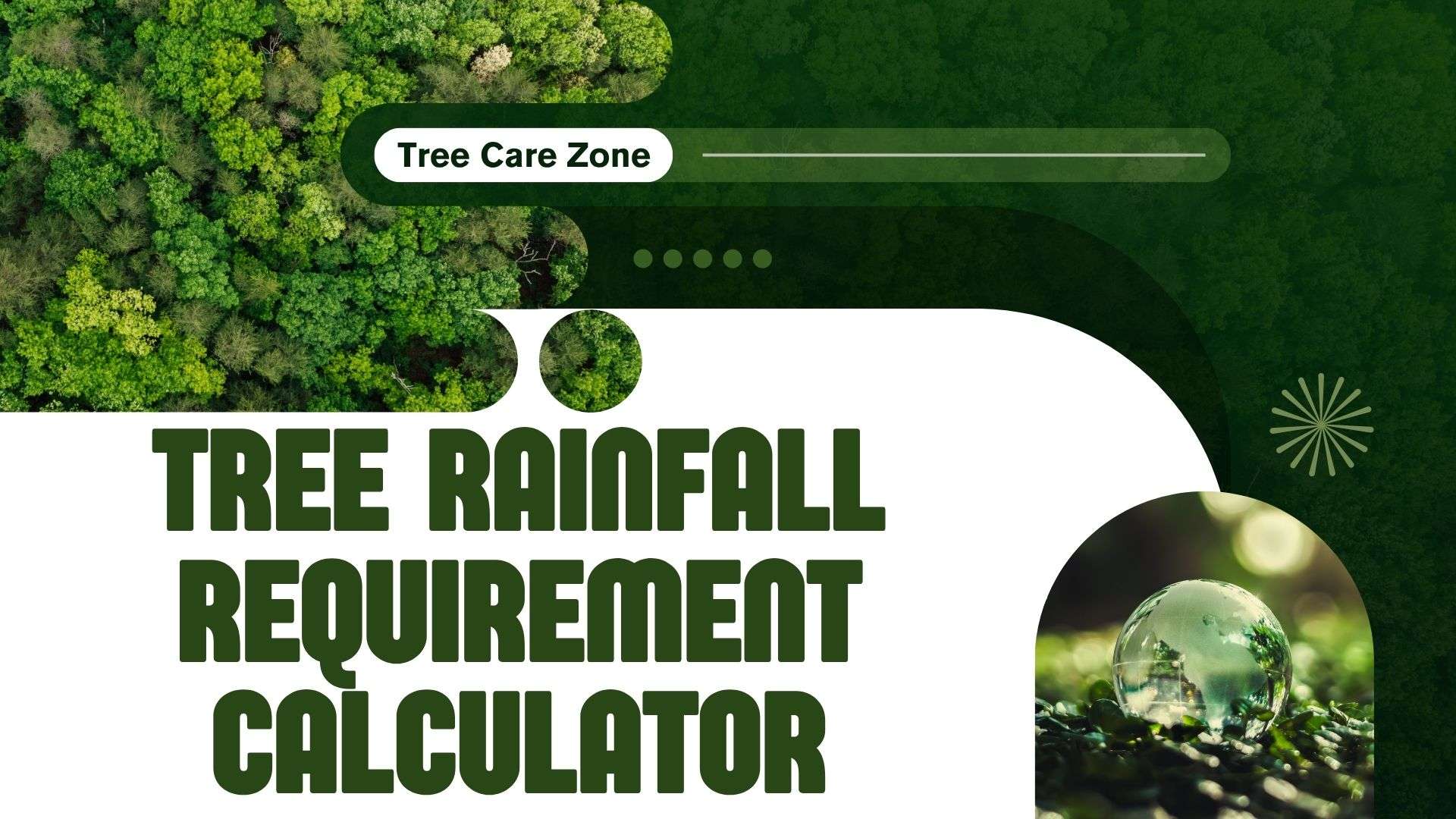 Tree Rainfall Requirement Calculator for Tree Care