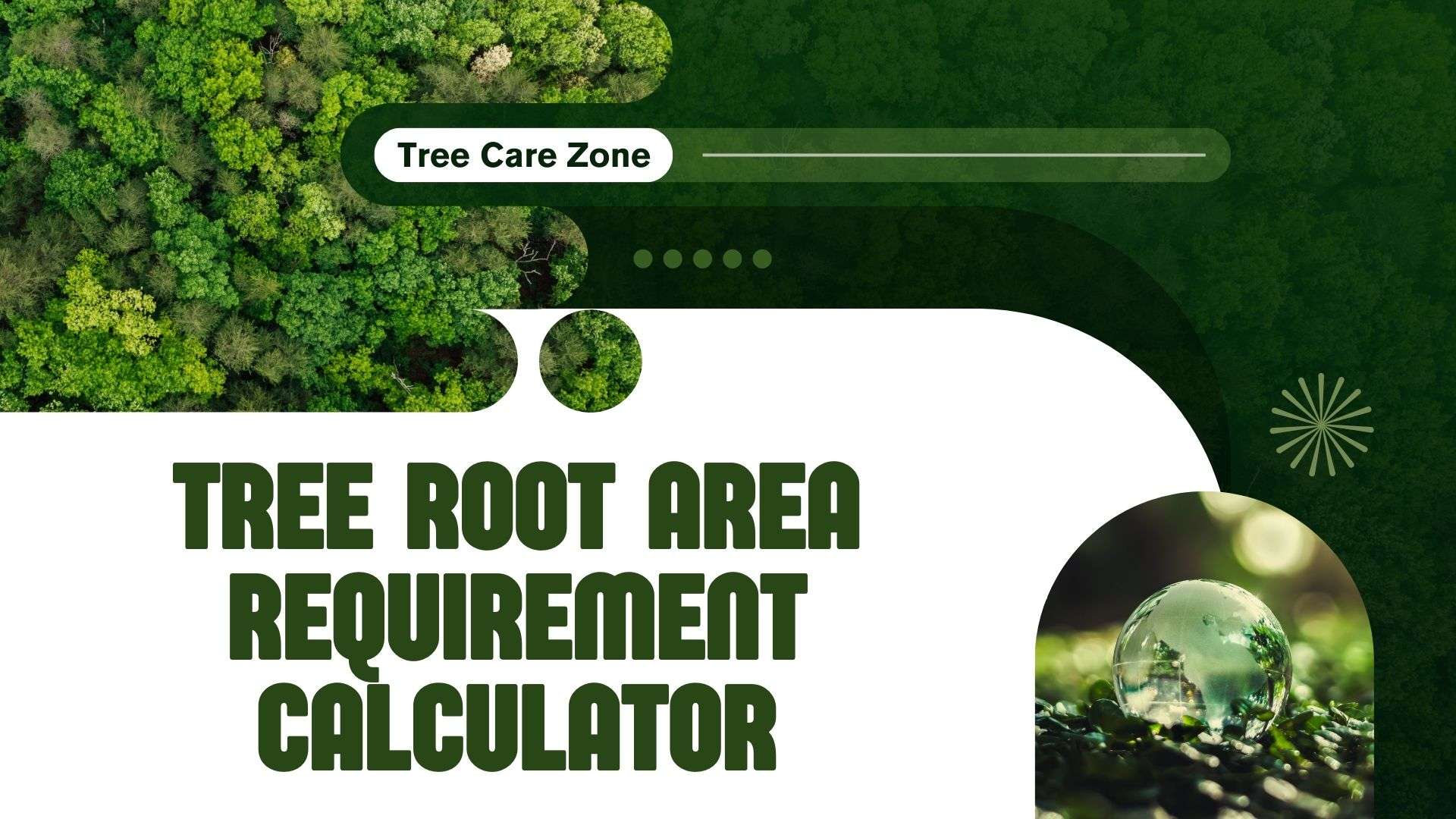 Tree Root Area Requirement Calculator for Tree Protection