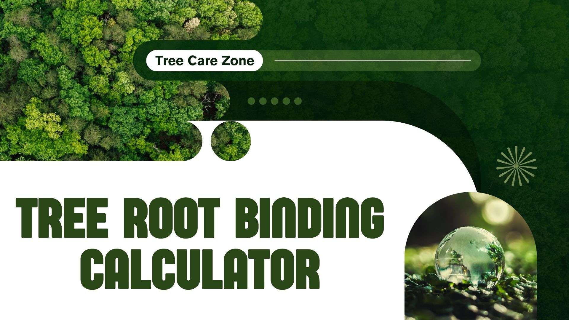 Tree Root Binding Calculator for Healthy Trees