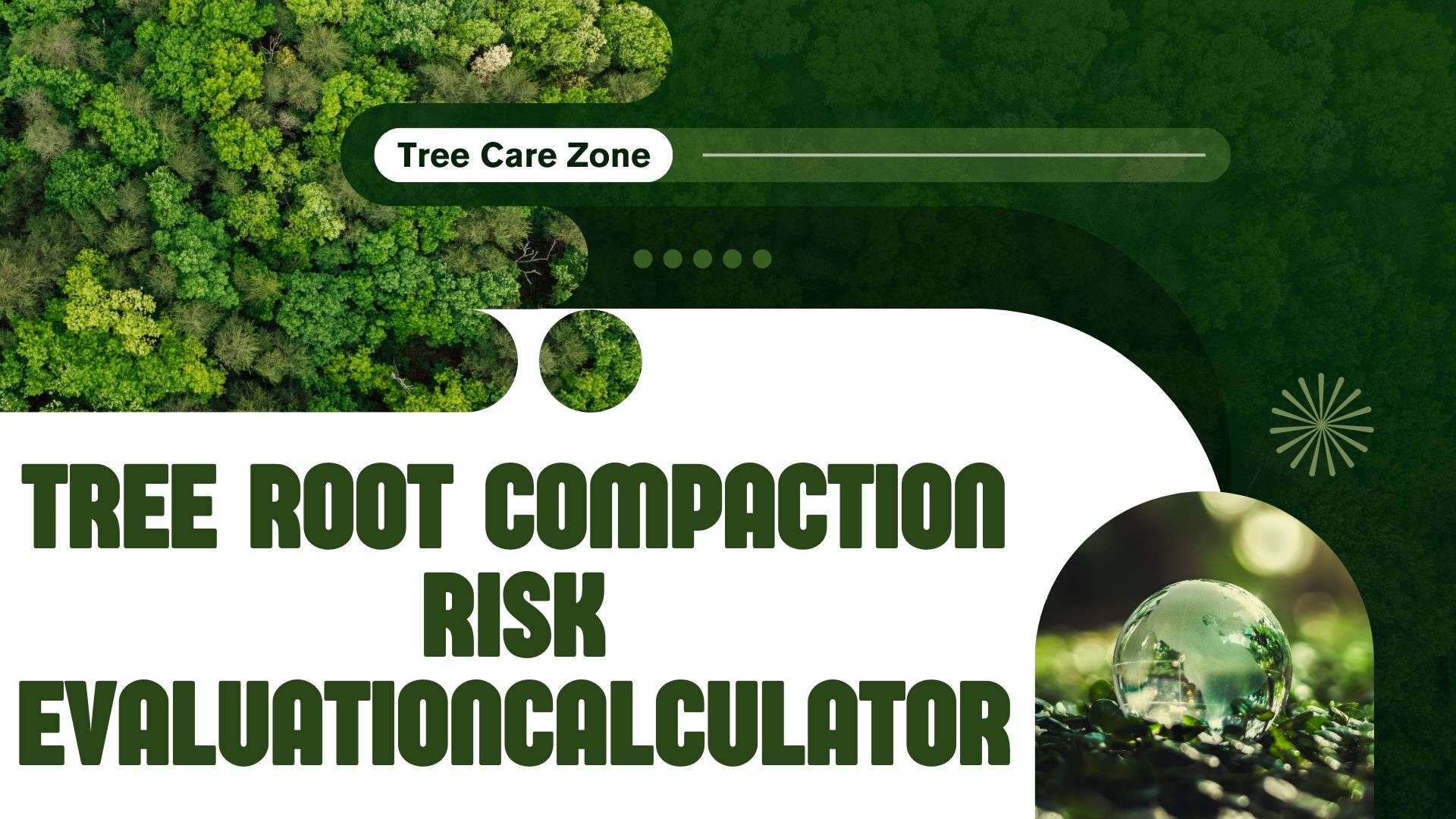 Tree Root Compaction Risk Evaluation Calculator Tool