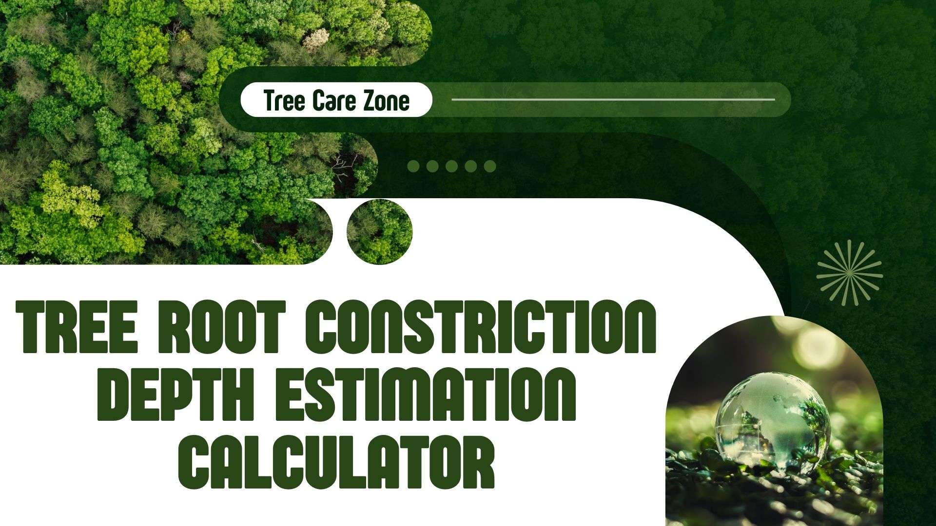 Tree Root Constriction Depth Estimation Calculator Guide